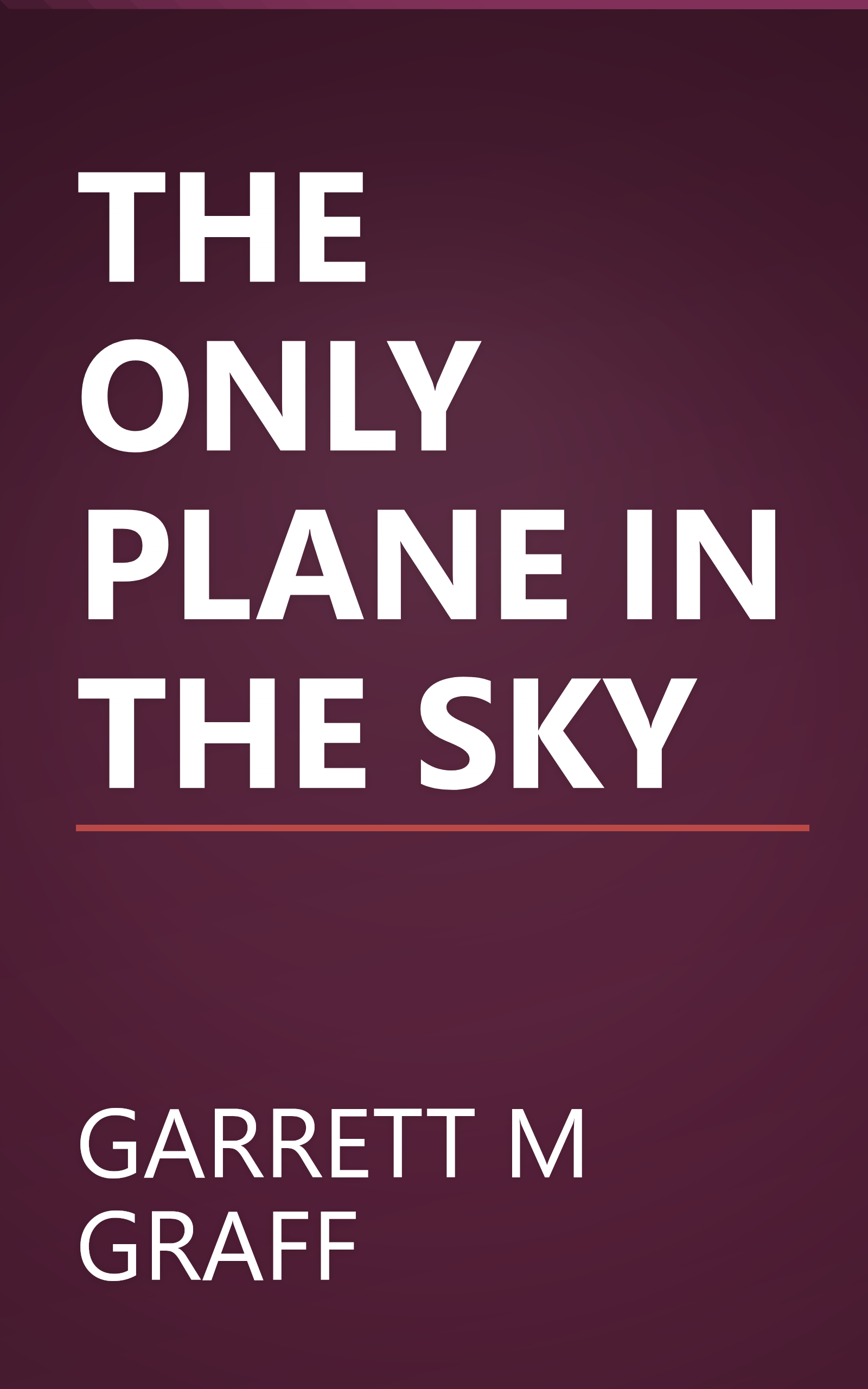 THE ONLY PLANE IN THE SKY book cover