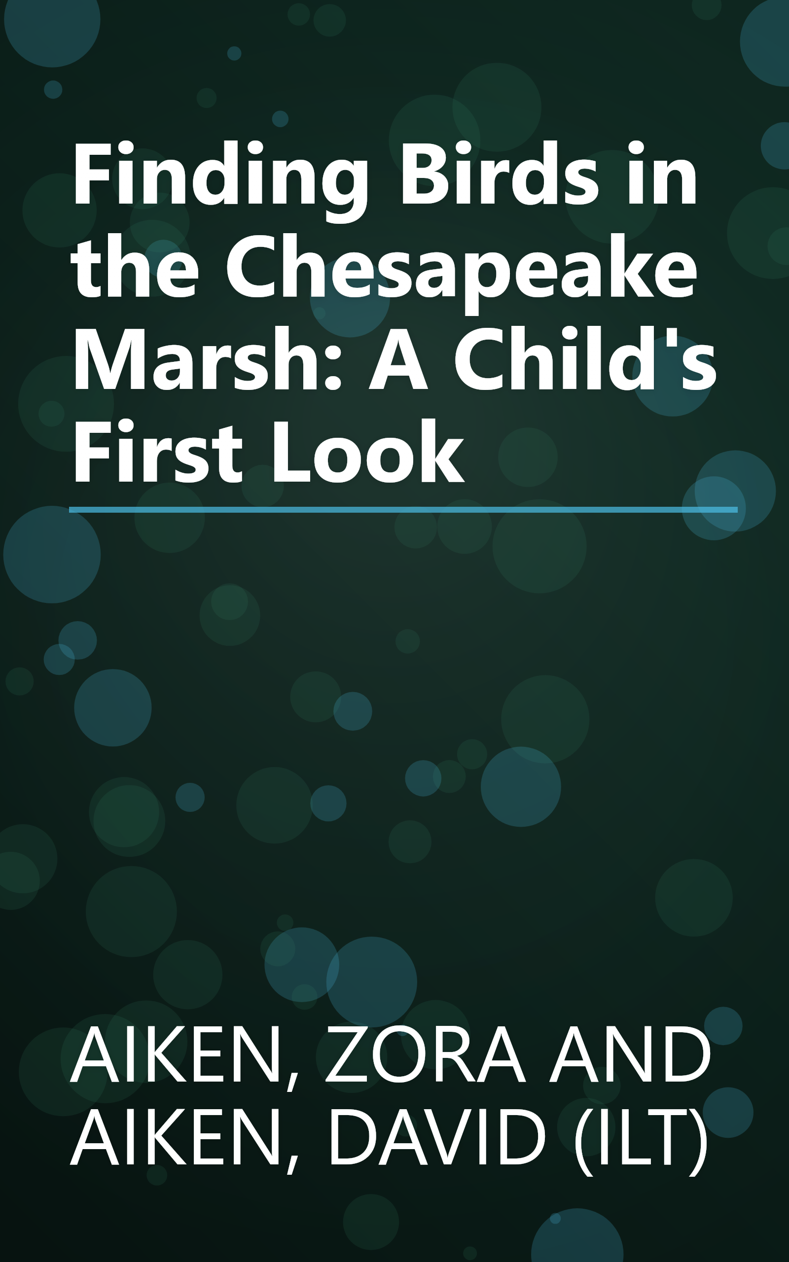 Finding Birds in the Chesapeake Marsh: A Child's First Look book cover