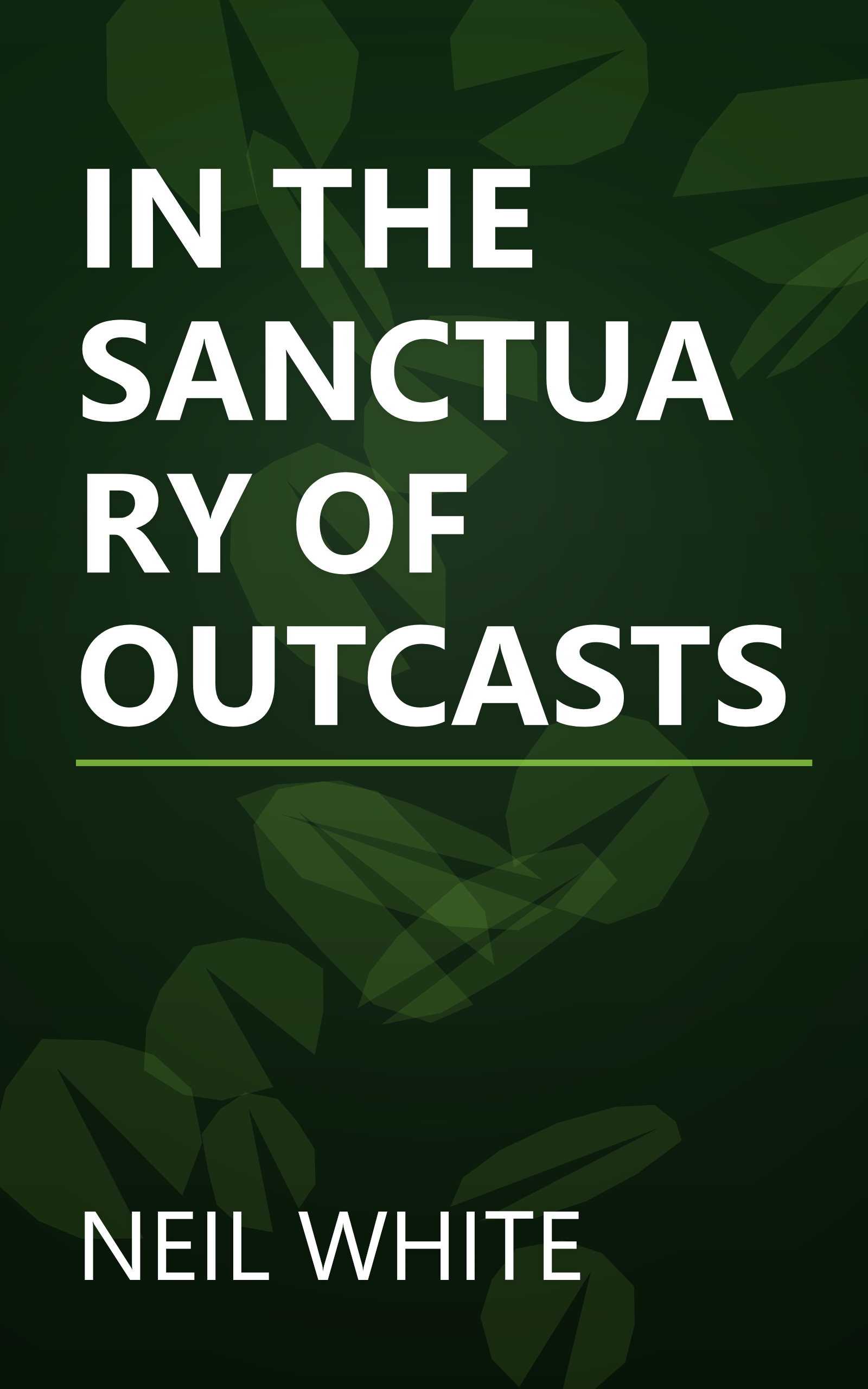 IN THE SANCTUARY OF OUTCASTS book cover