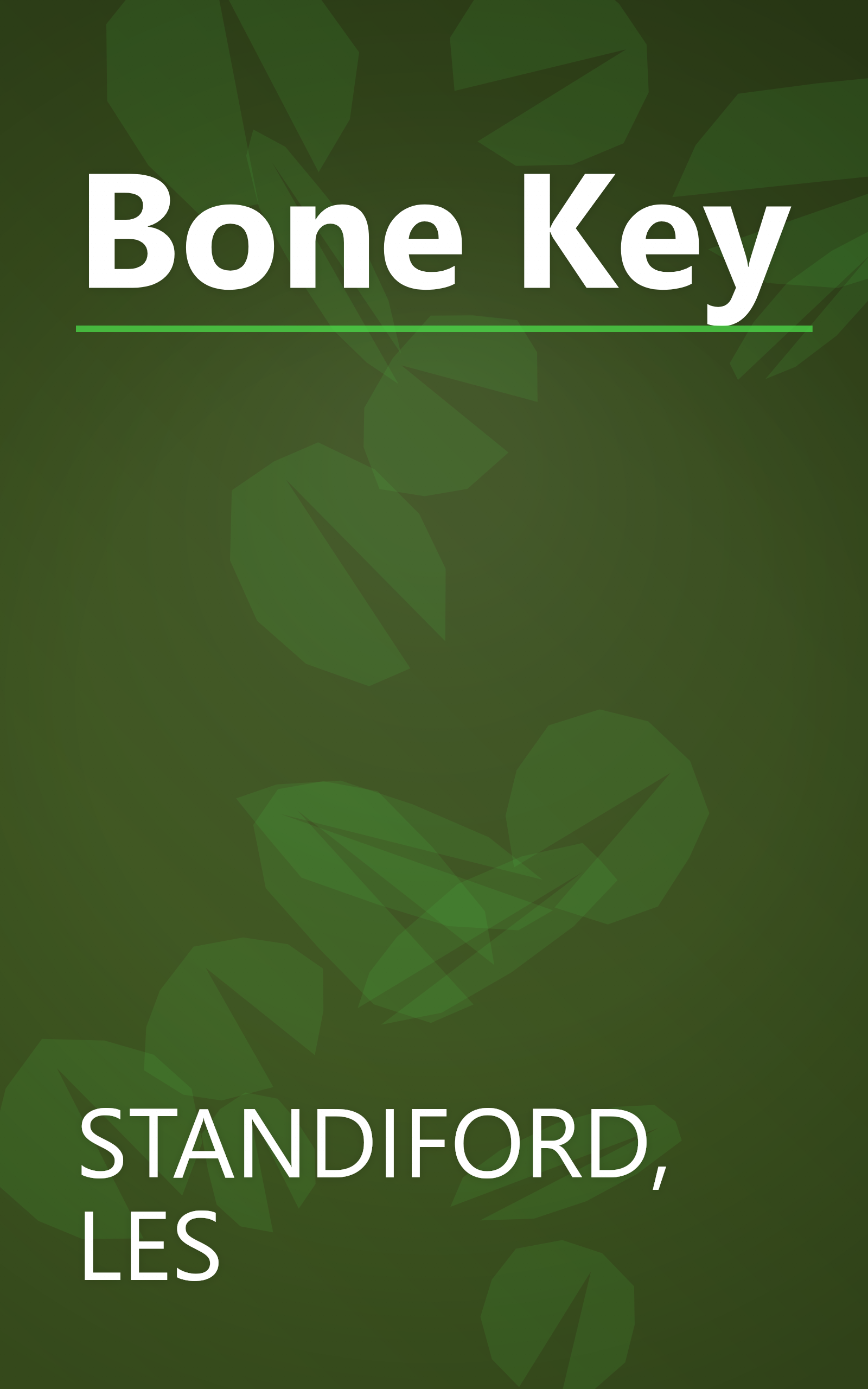 Bone Key book cover