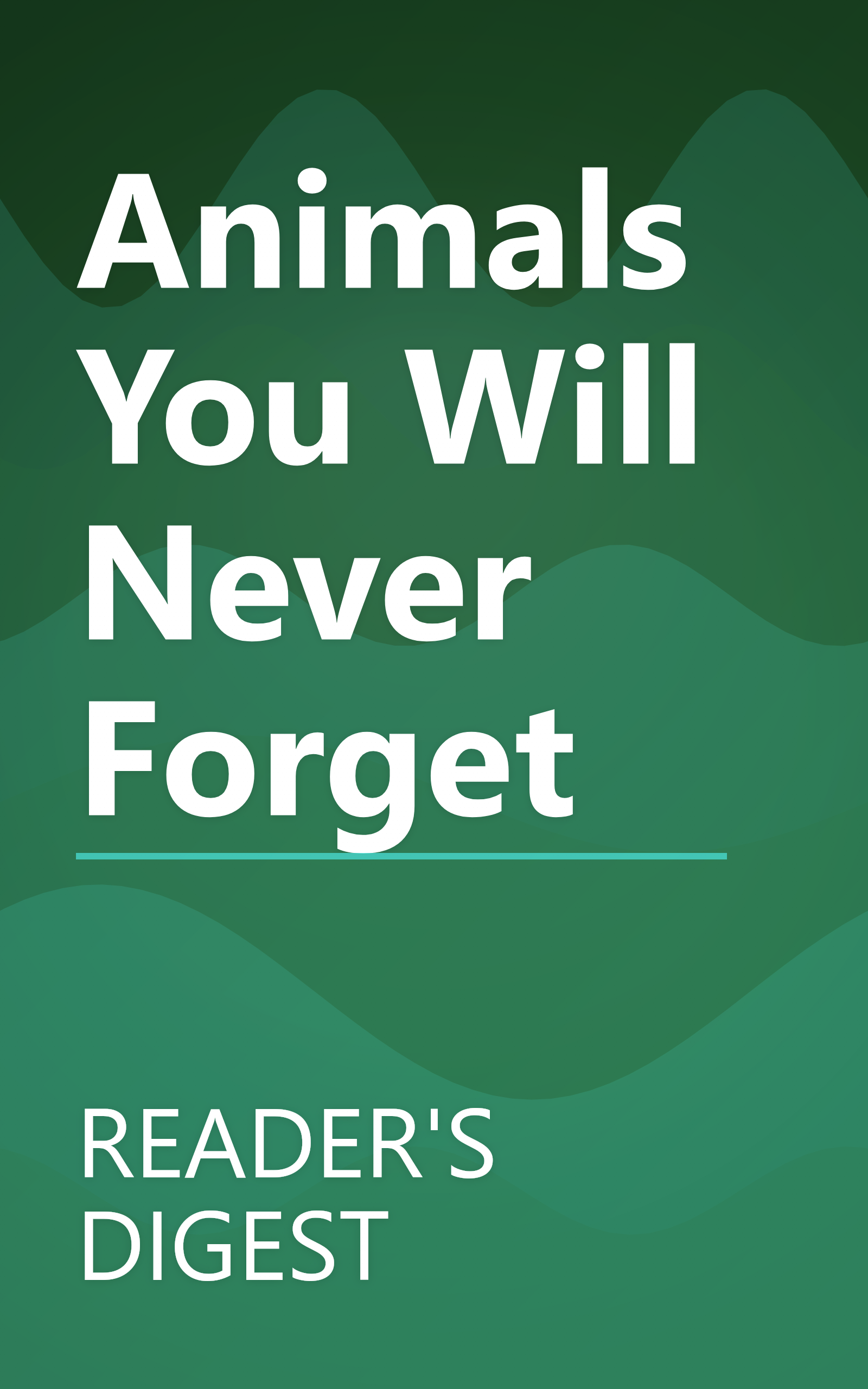 Animals You Will Never Forget book cover