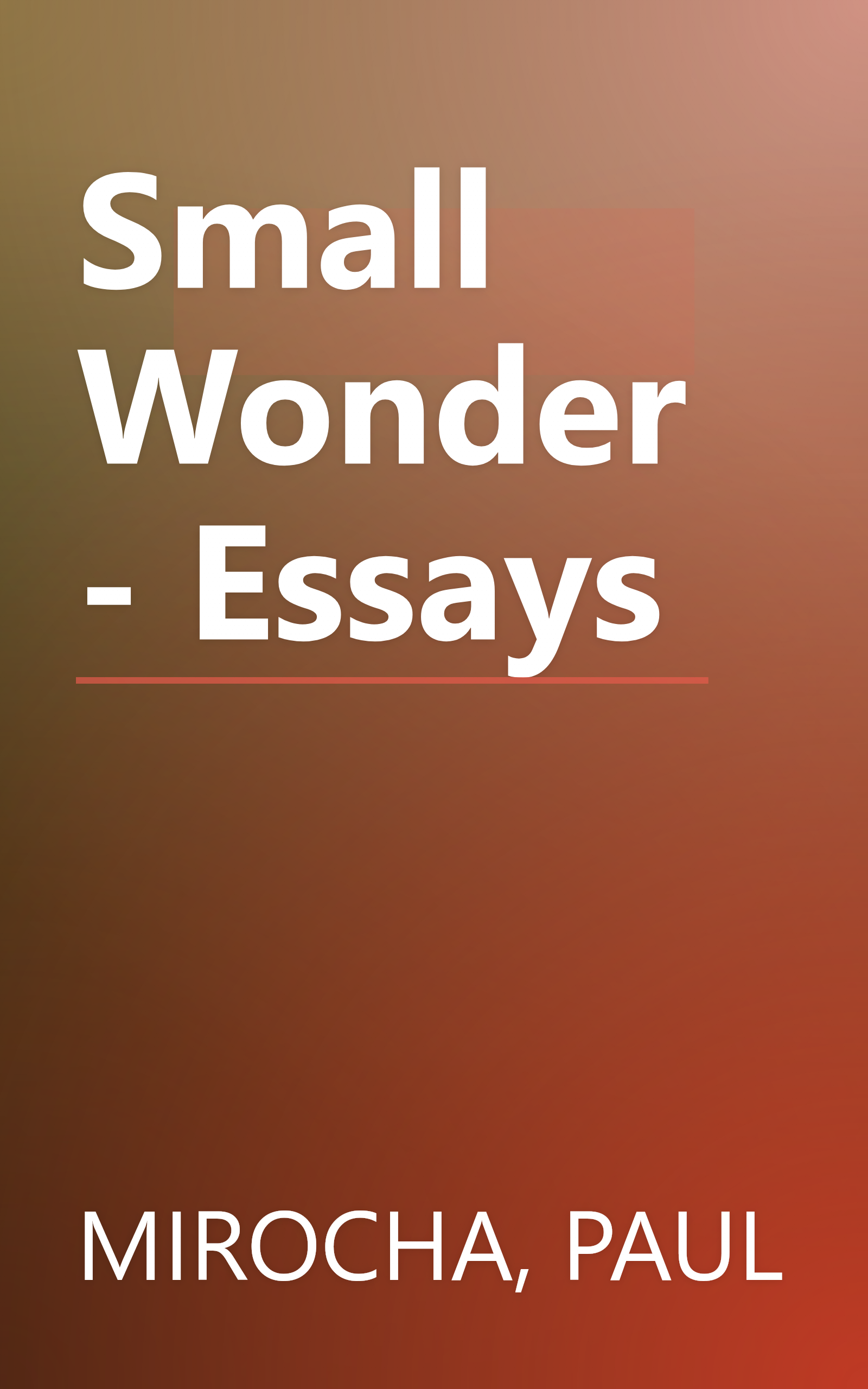Small Wonder - Essays book cover