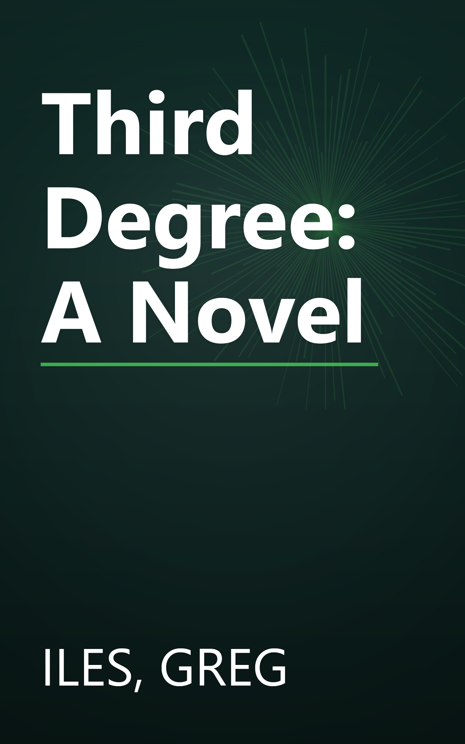 Third Degree: A Novel book cover