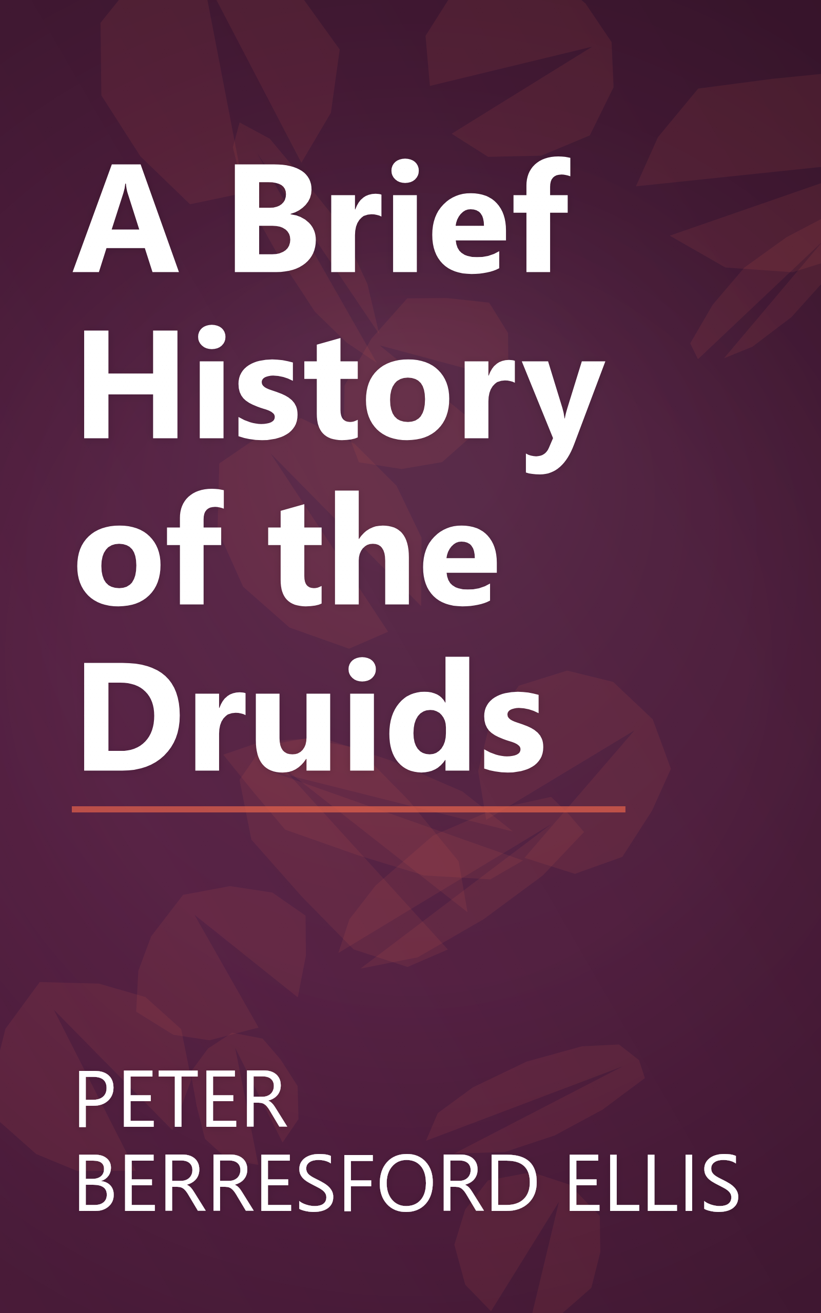 A Brief History of the Druids book cover