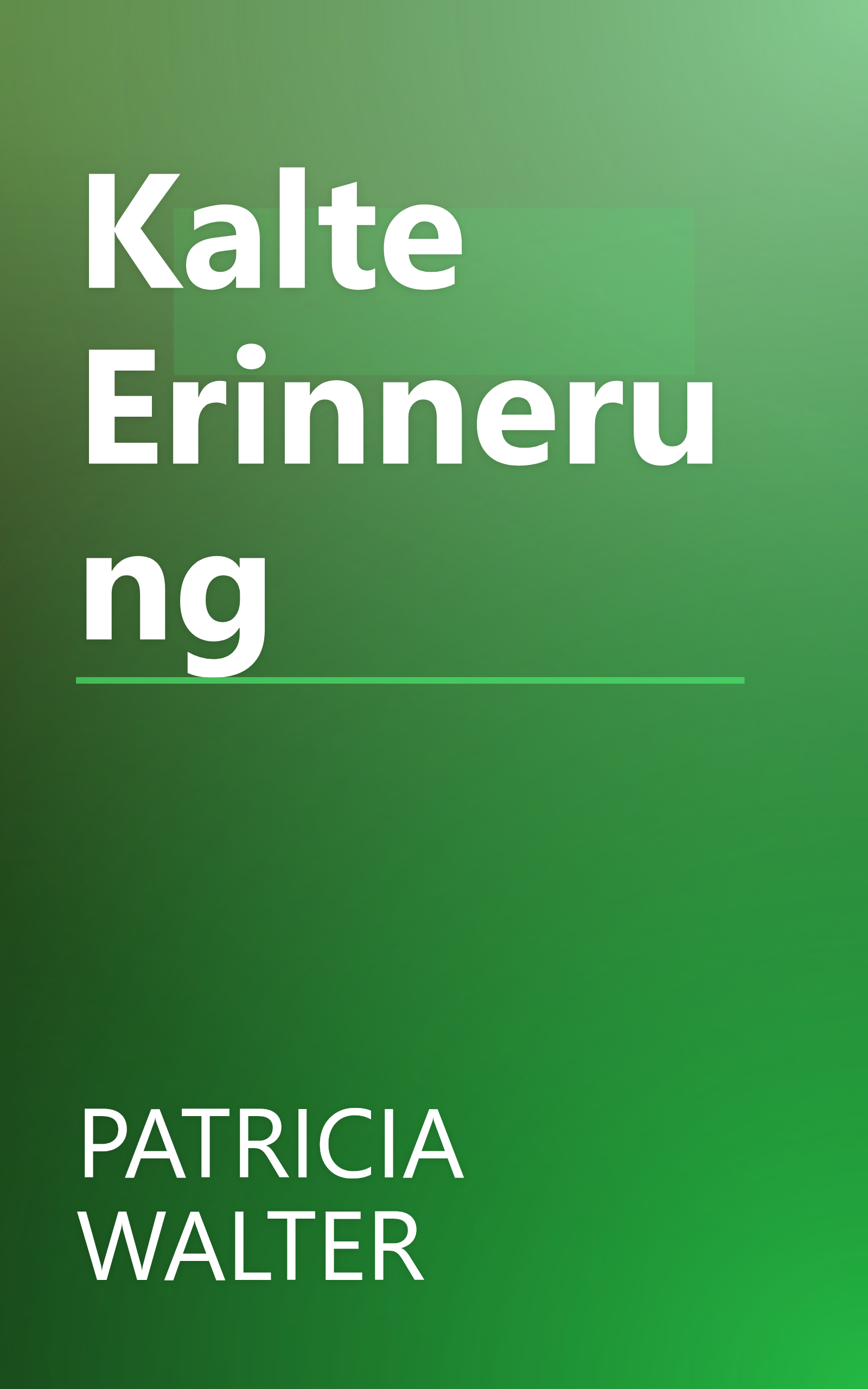 Kalte Erinnerung book cover