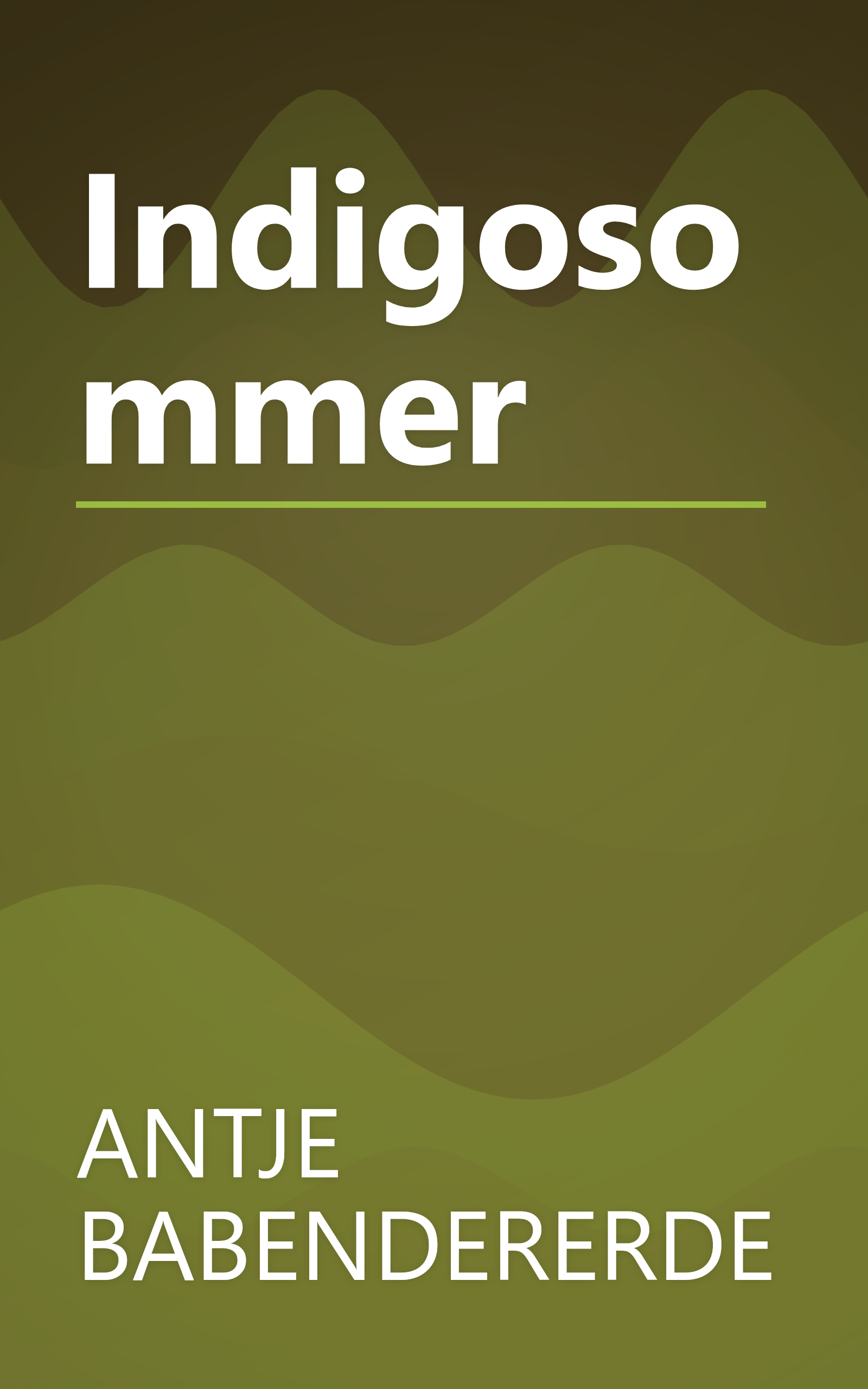 Indigosommer book cover