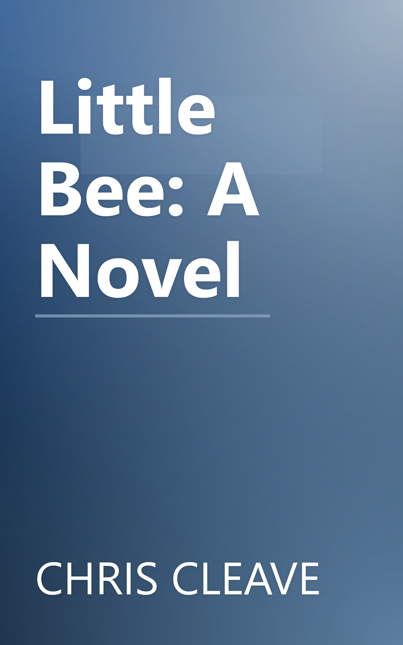 Little Bee: A Novel book cover