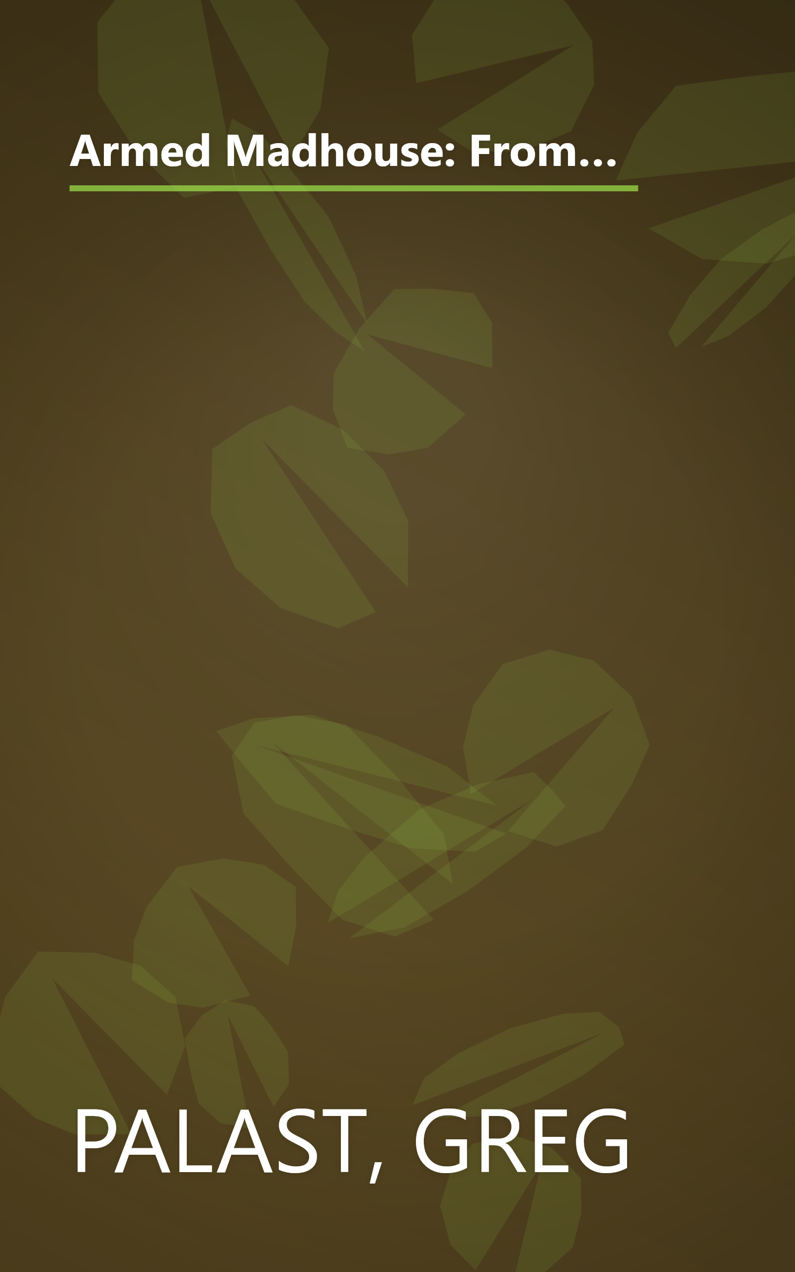 Armed Madhouse: From Baghdad to New Orleans-Sordid Secrets and Strange Tales of a White House Gone Wild book cover