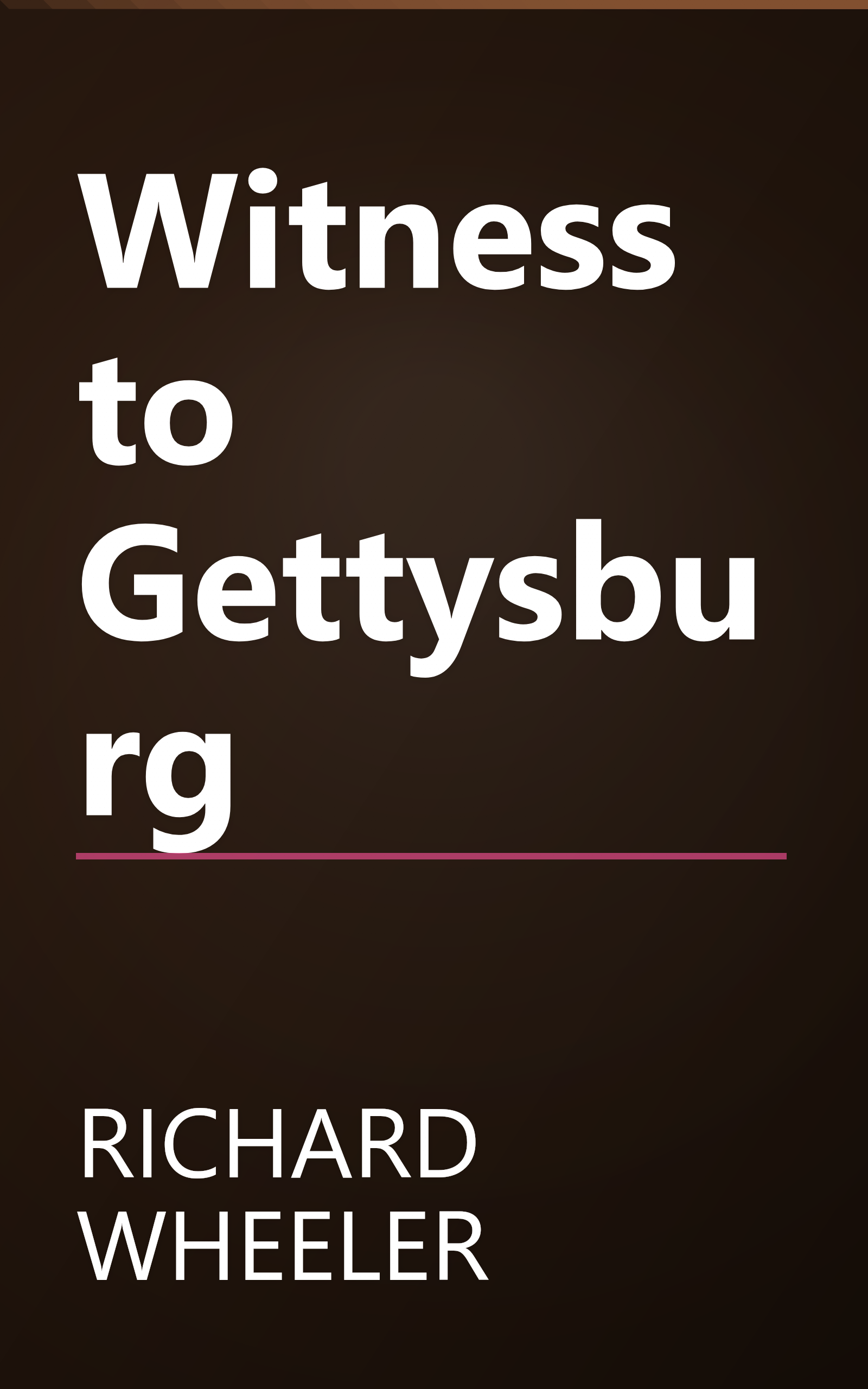 Witness to Gettysburg book cover