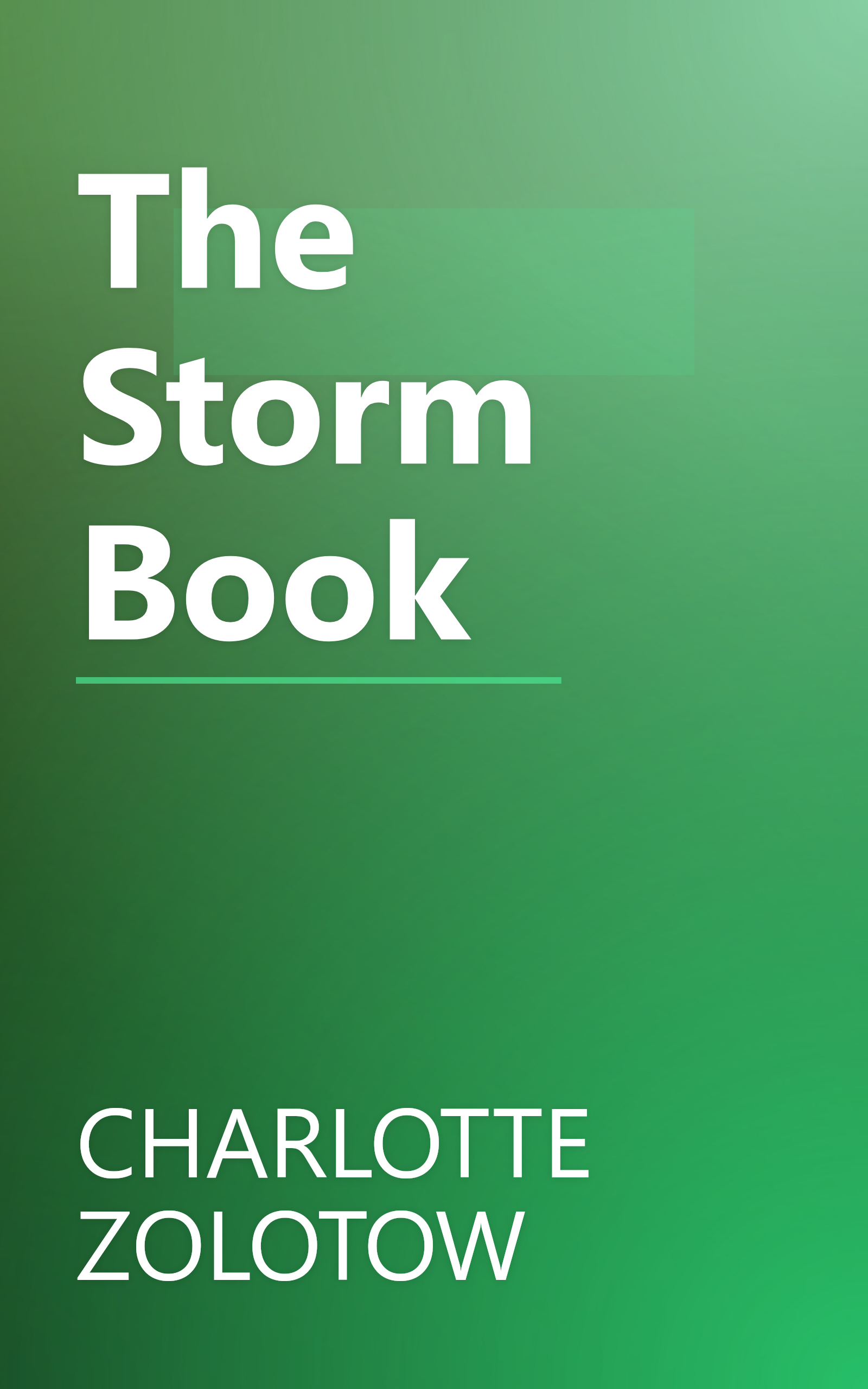 The Storm Book book cover
