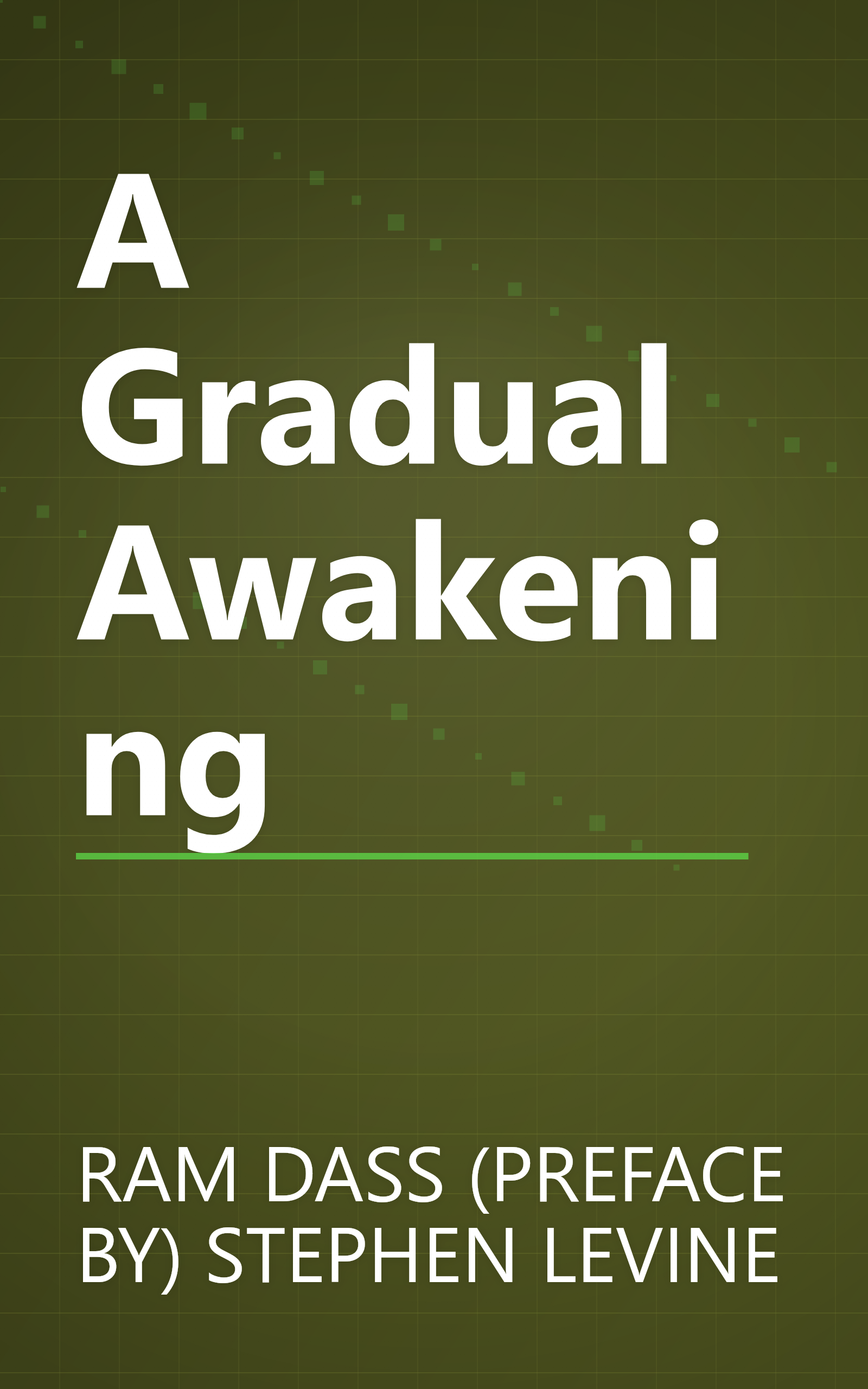 A Gradual Awakening book cover