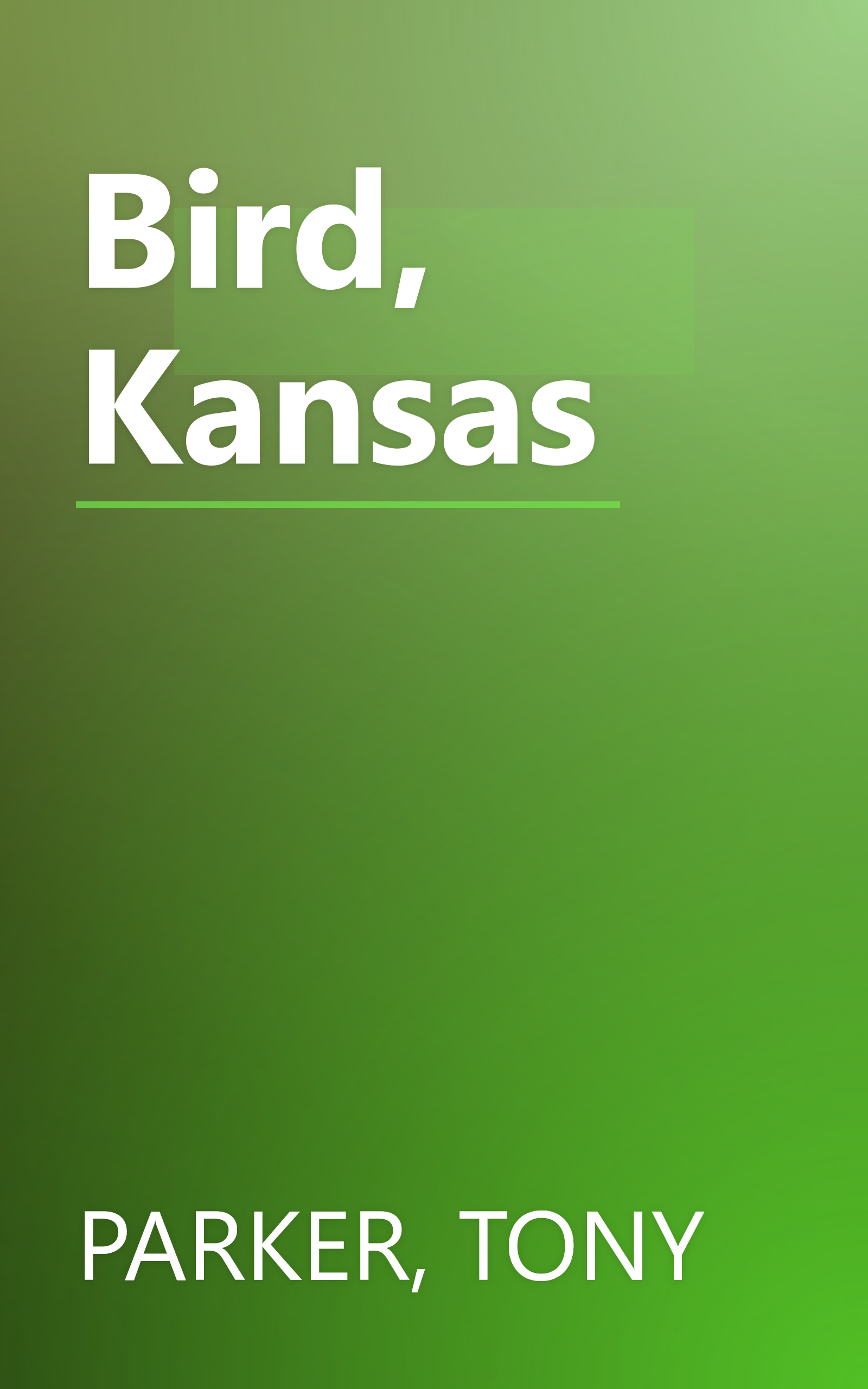 Bird, Kansas book cover