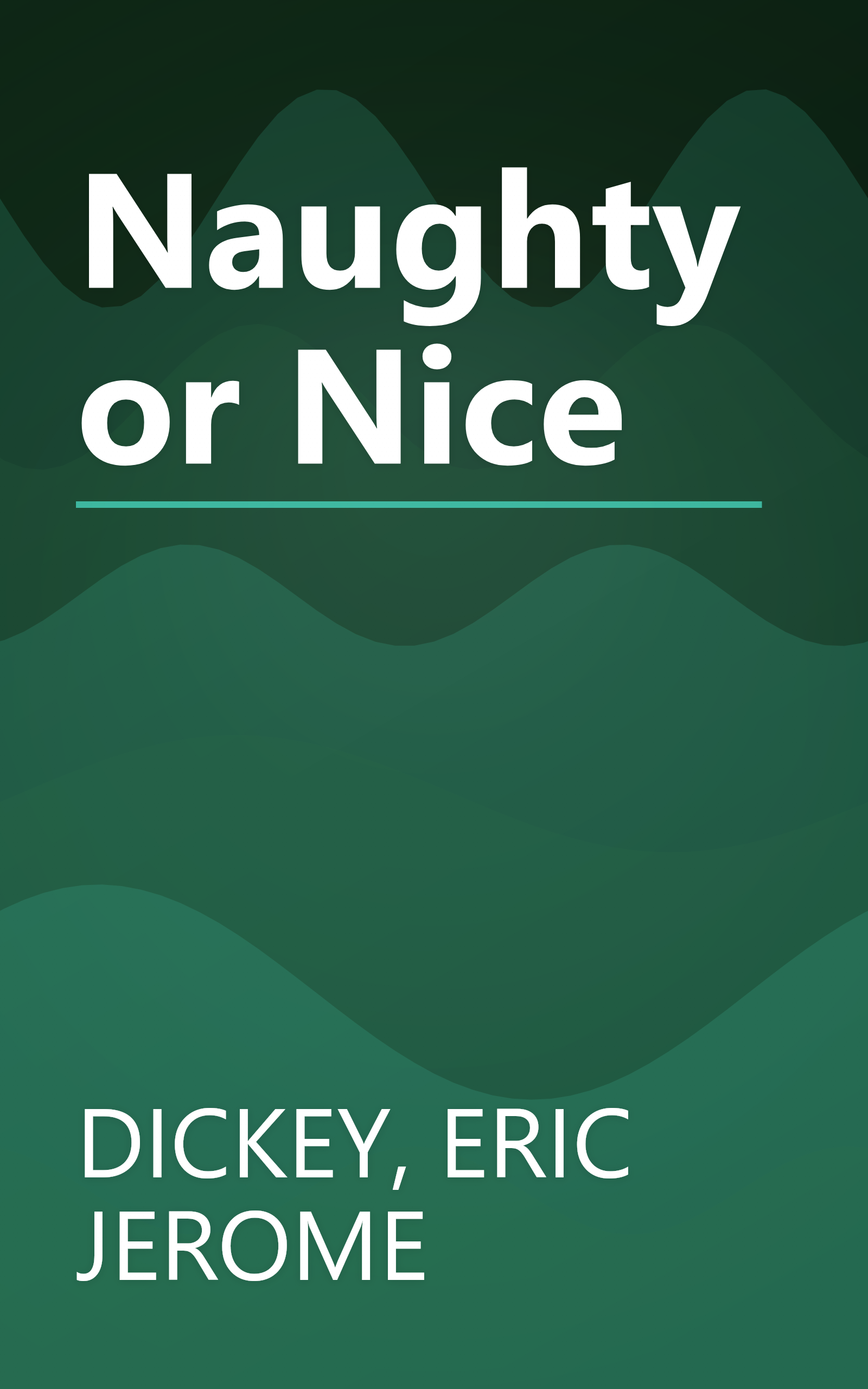 Naughty or Nice book cover