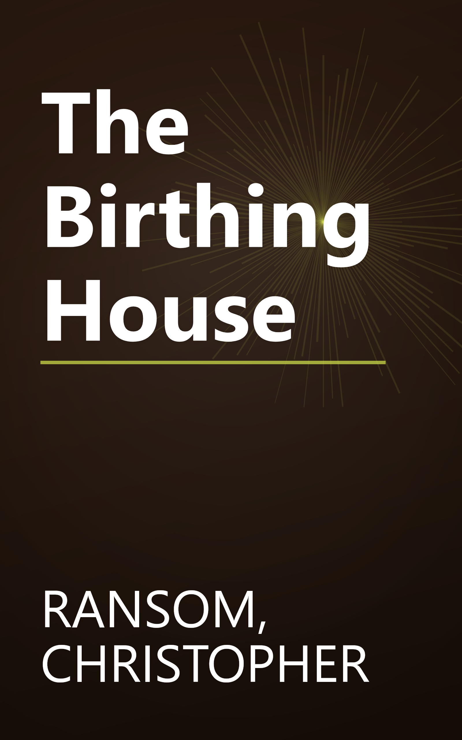 The Birthing House book cover