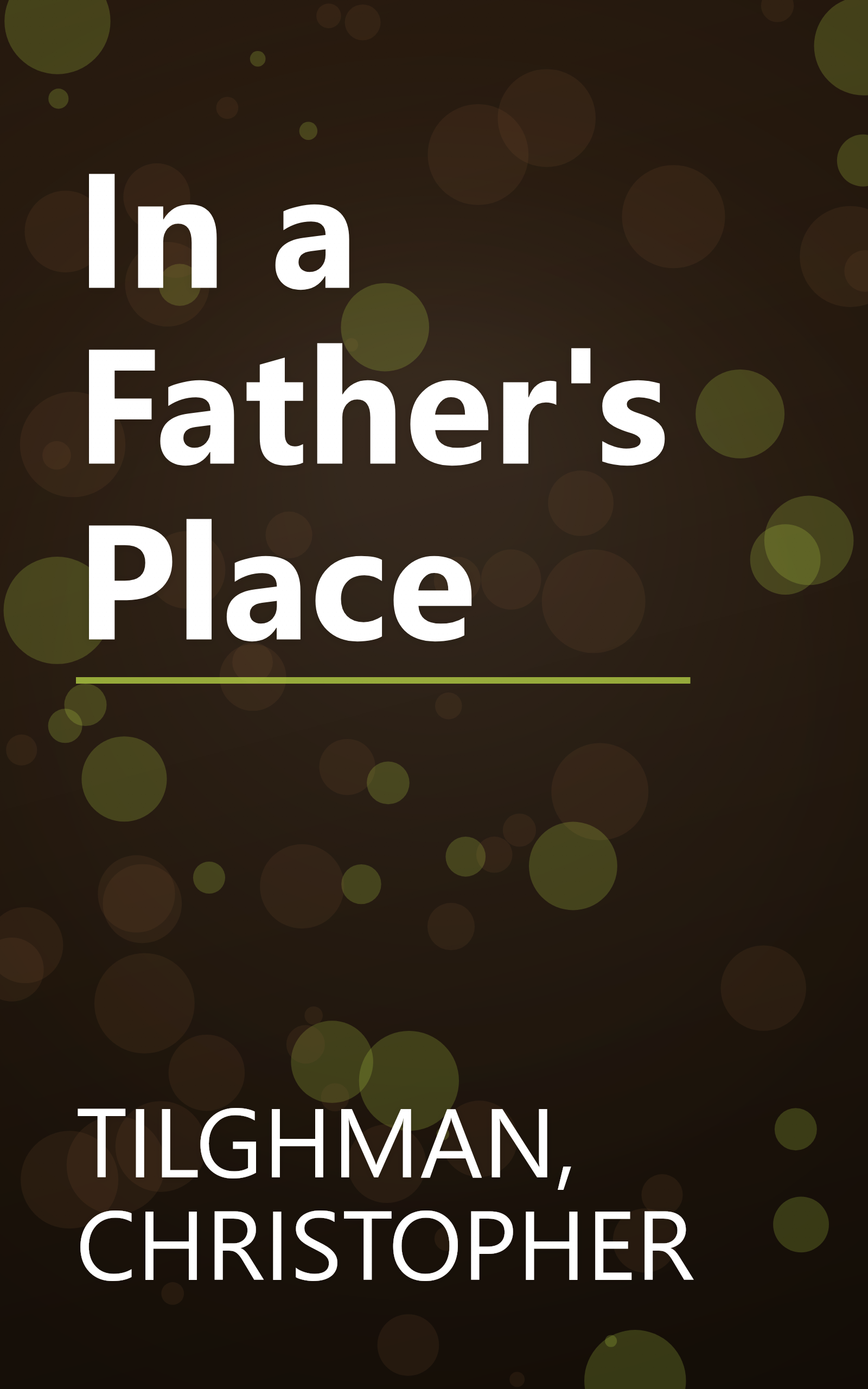 In a Father's Place book cover