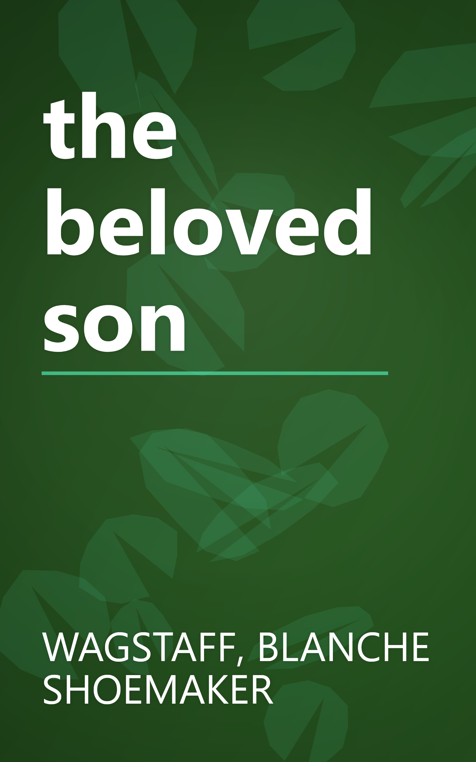 the beloved son book cover