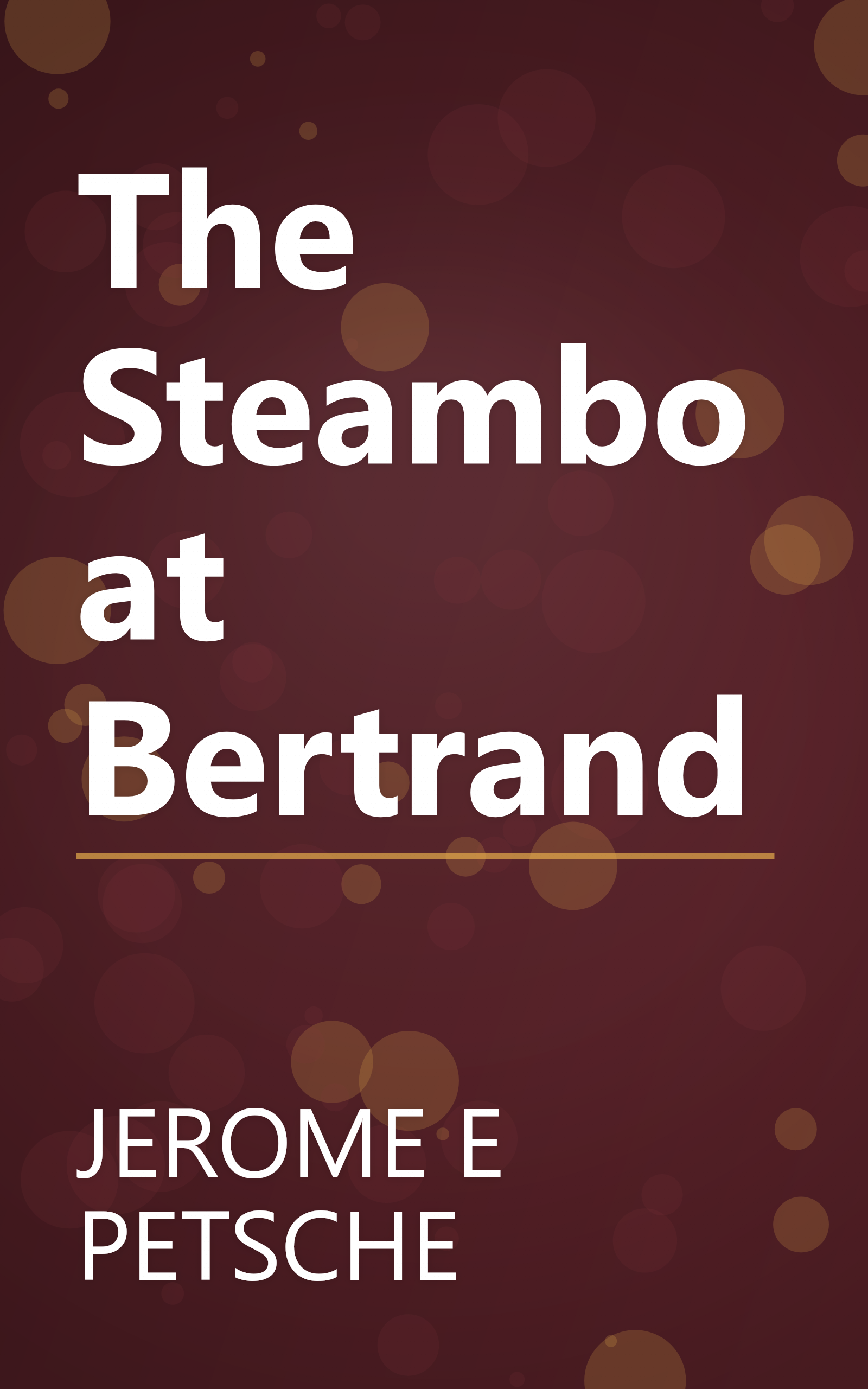 The Steamboat Bertrand book cover