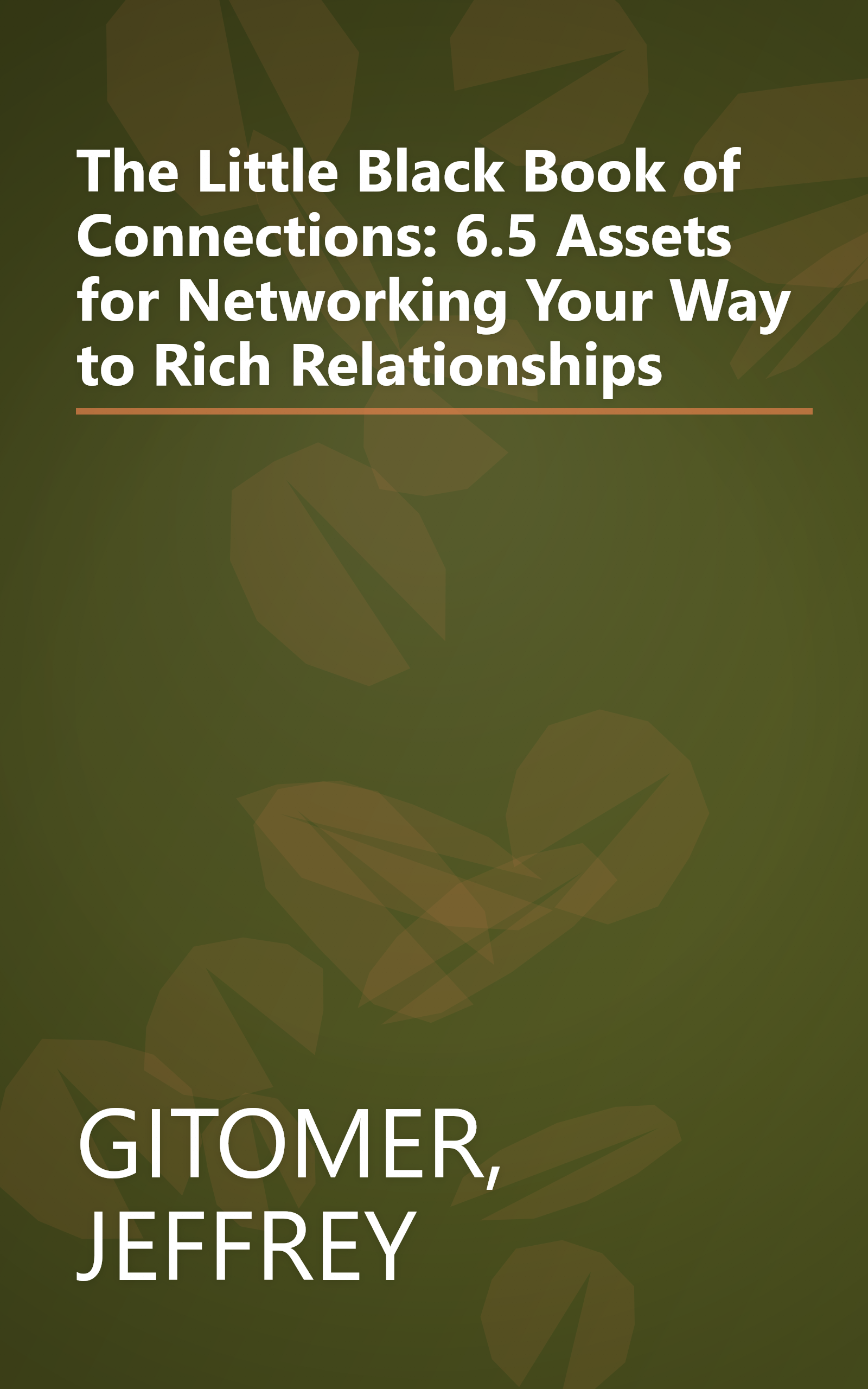 The Little Black Book of Connections: 6.5 Assets for Networking Your Way to Rich Relationships book cover