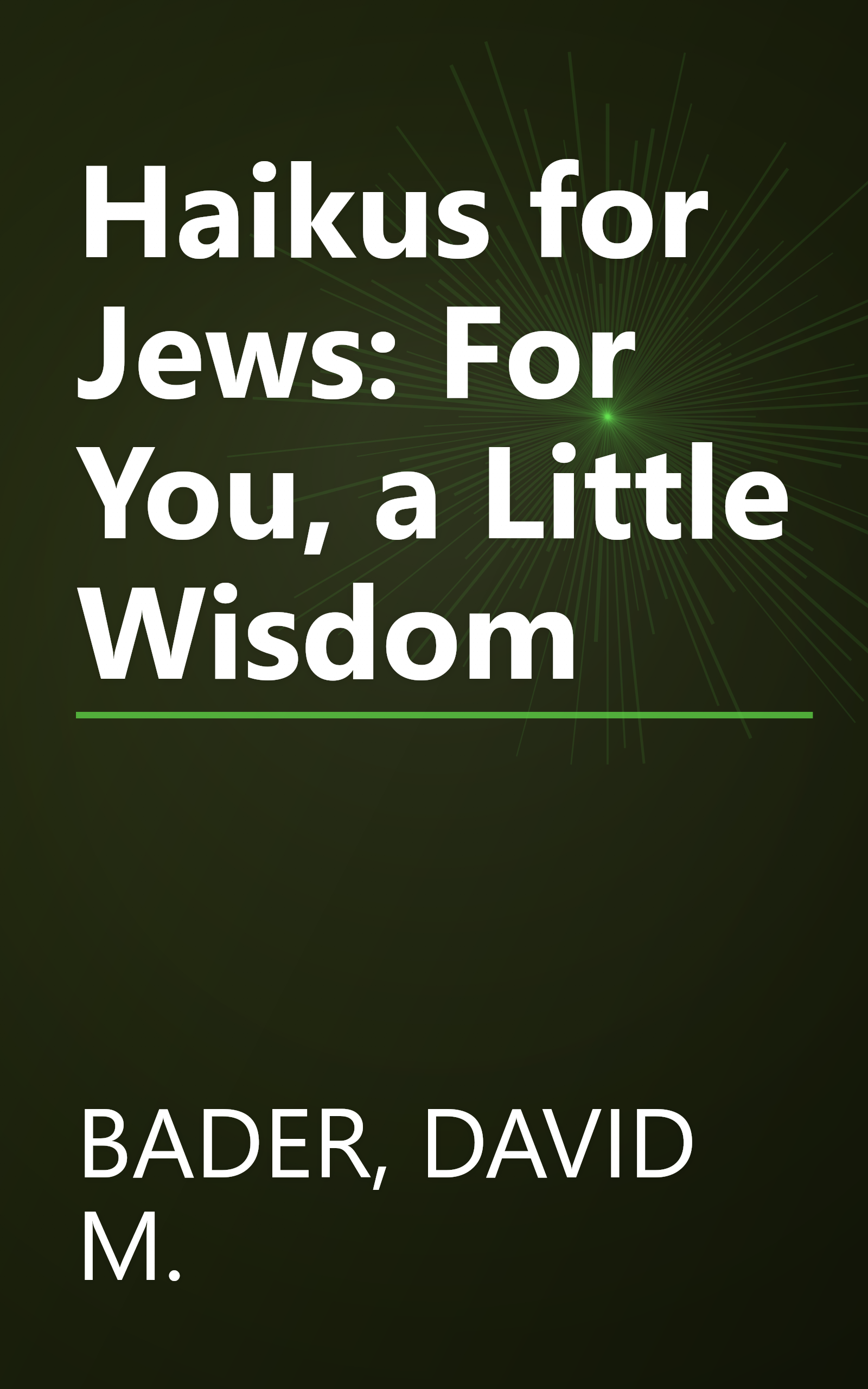 Haikus for Jews: For You, a Little Wisdom book cover