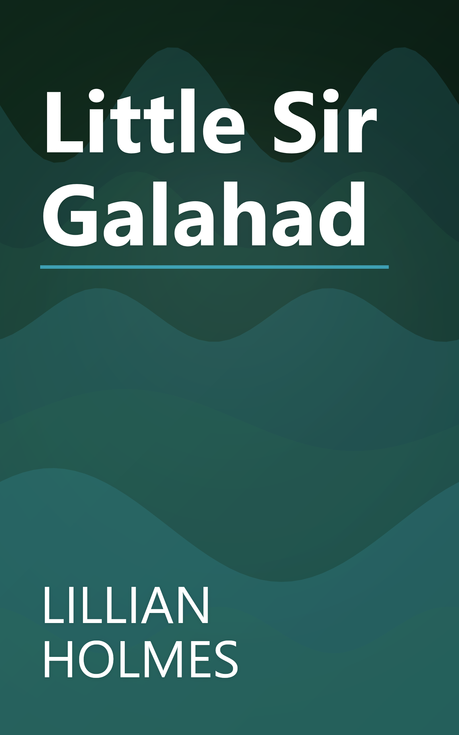 Little Sir Galahad book cover