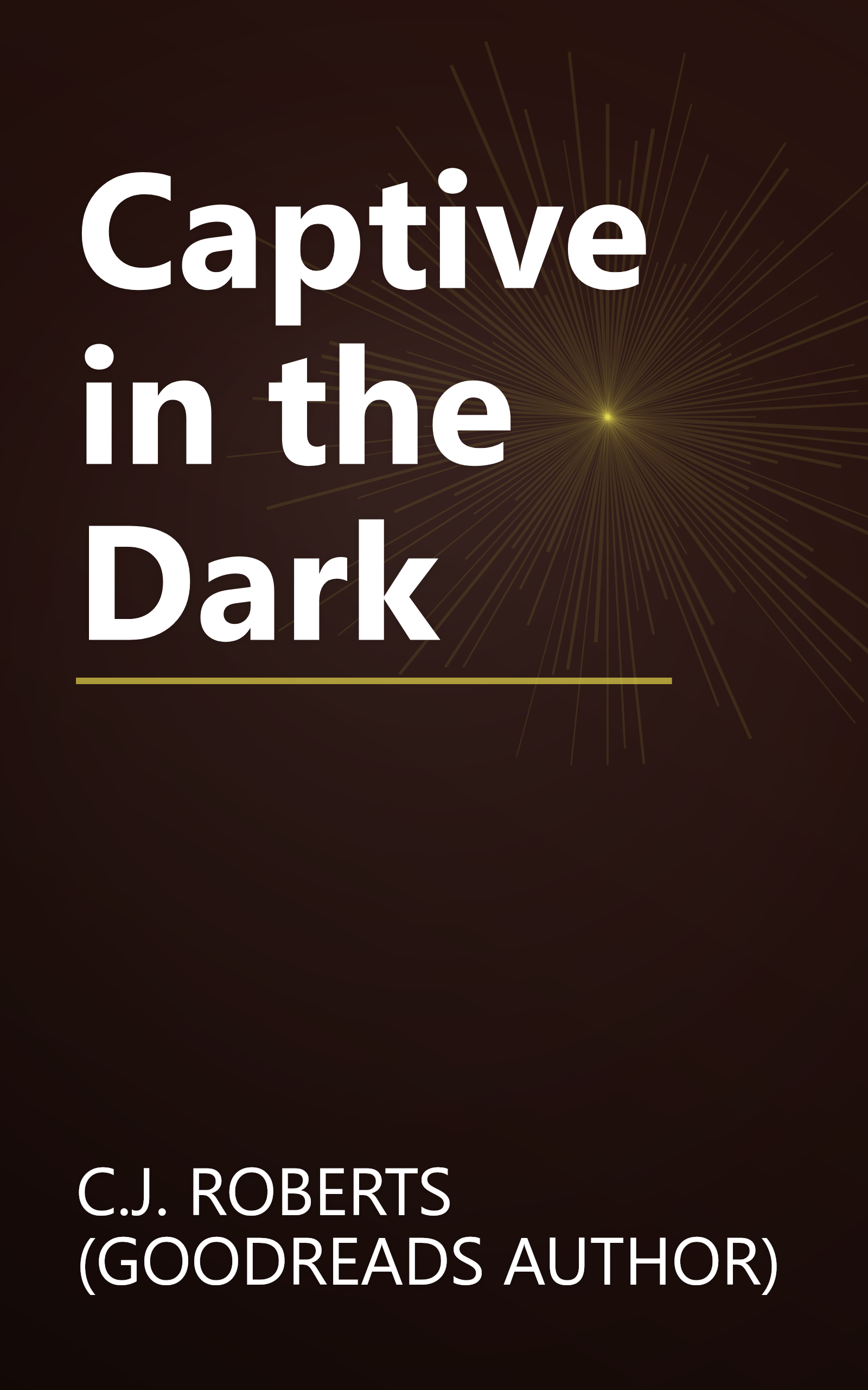 Captive in the Dark book cover