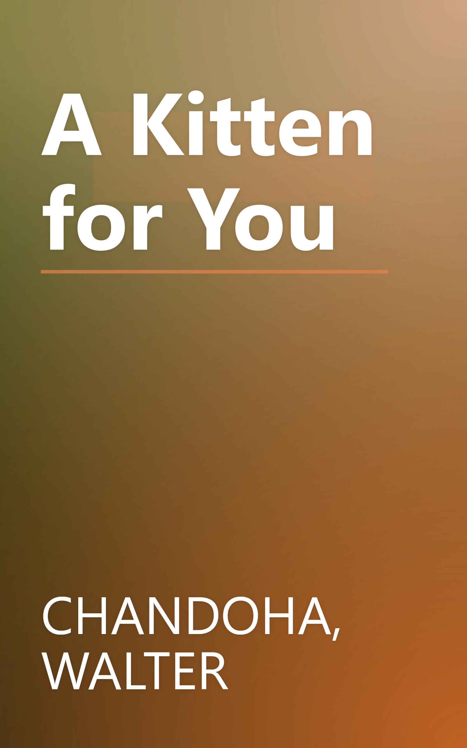 A Kitten for You book cover
