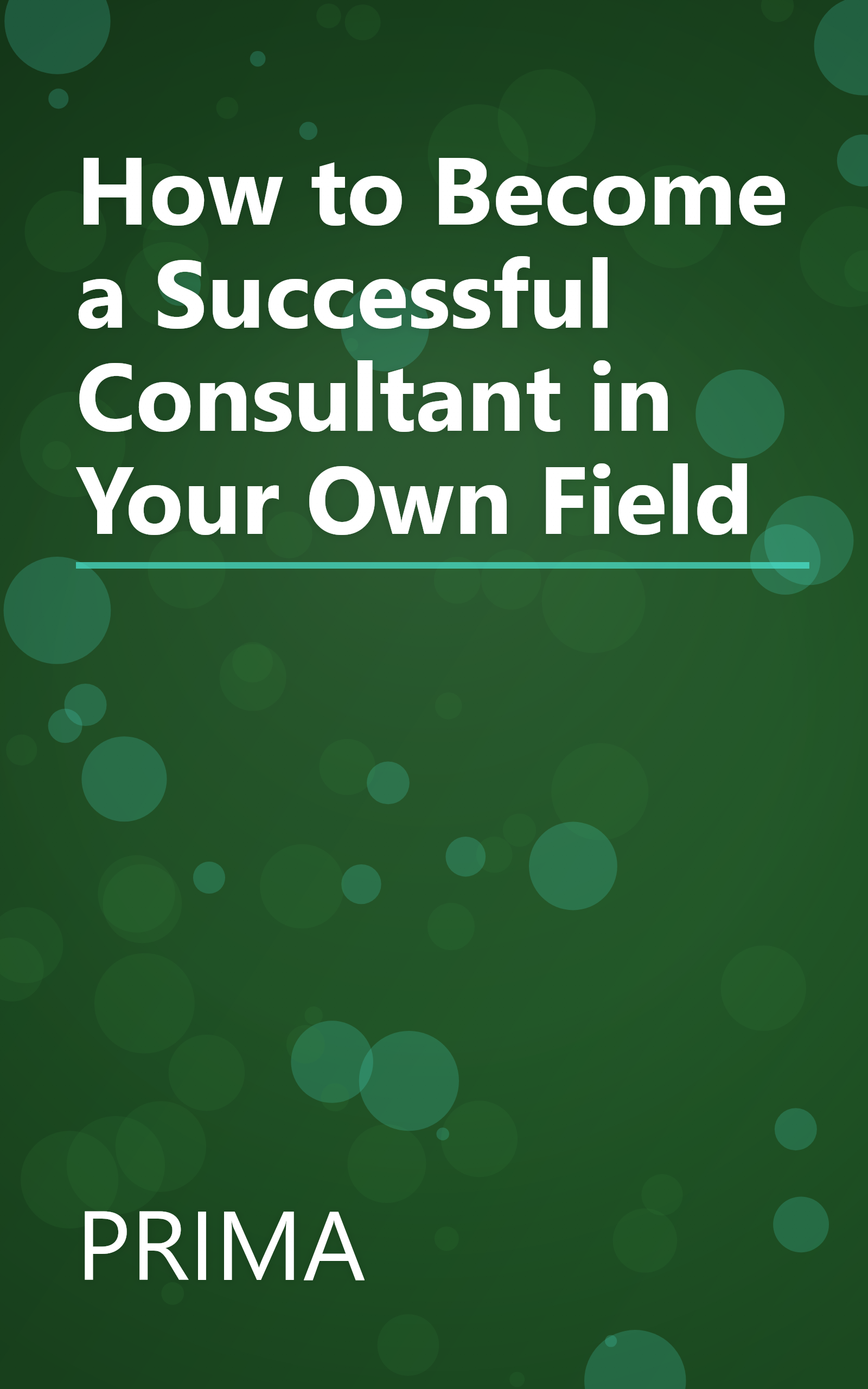 How to Become a Successful Consultant in Your Own Field book cover
