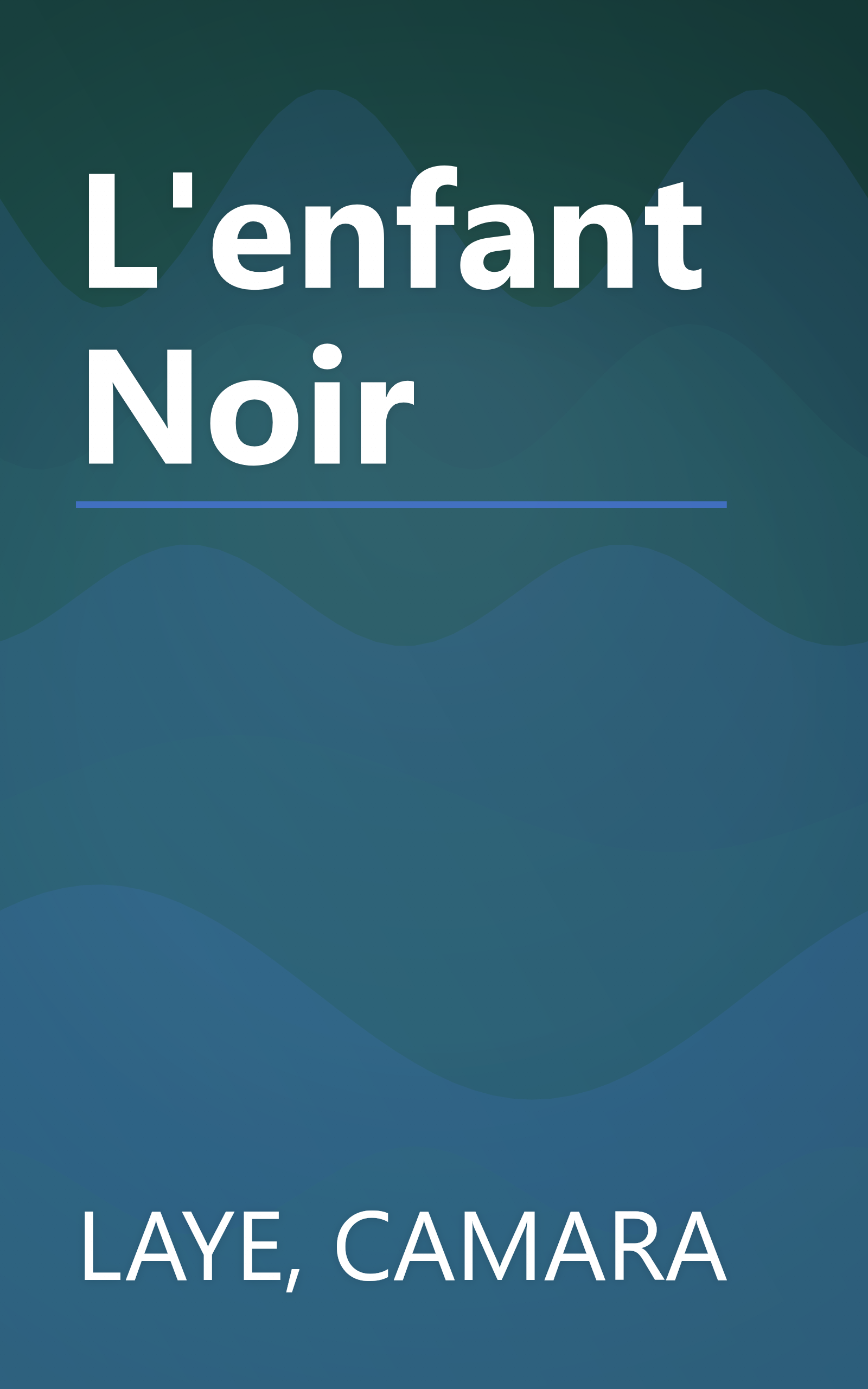 L'enfant Noir book cover