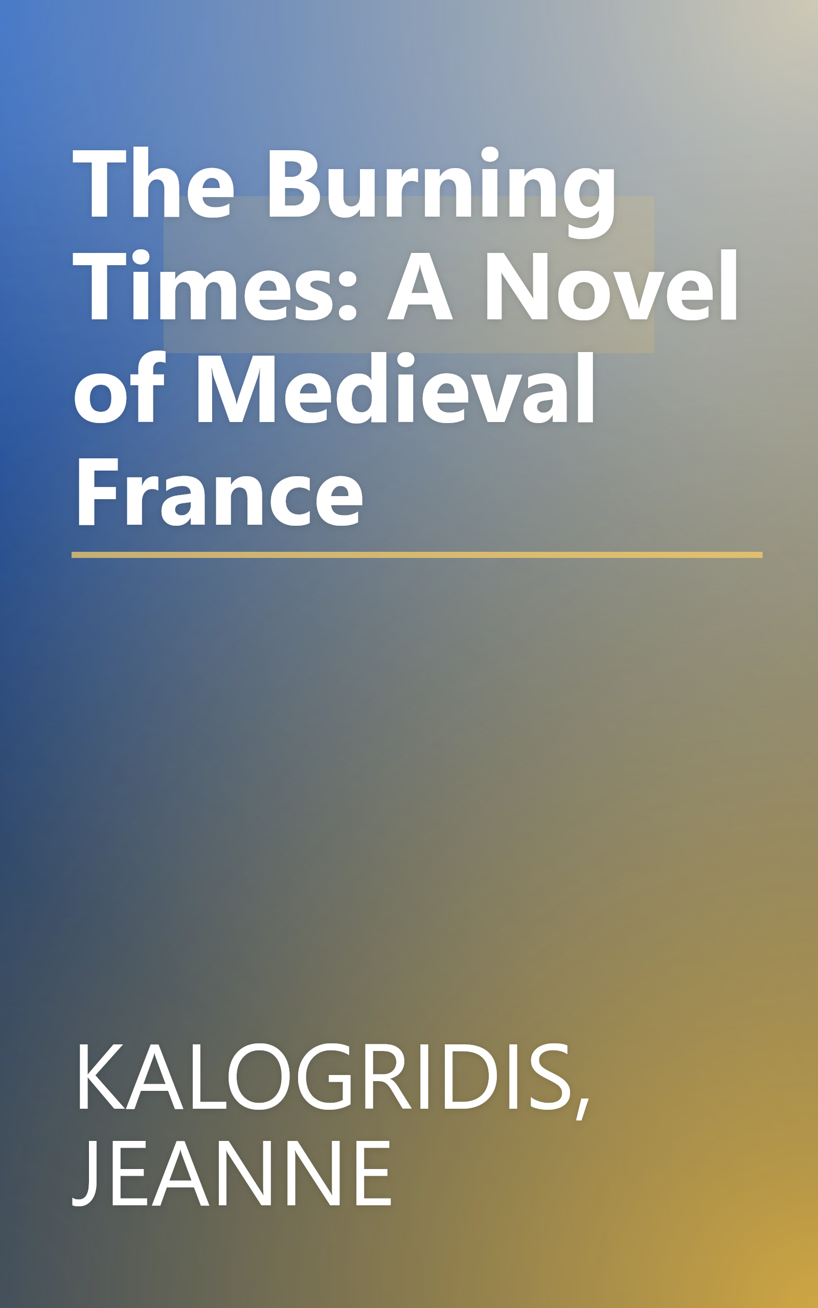 The Burning Times: A Novel of Medieval France book cover
