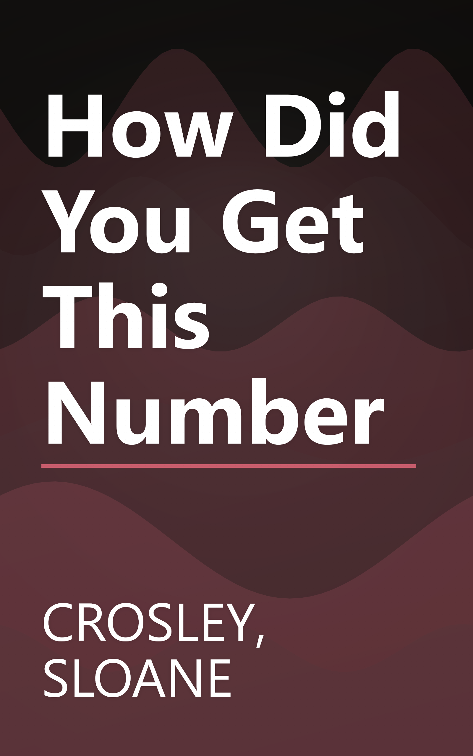How Did You Get This Number book cover