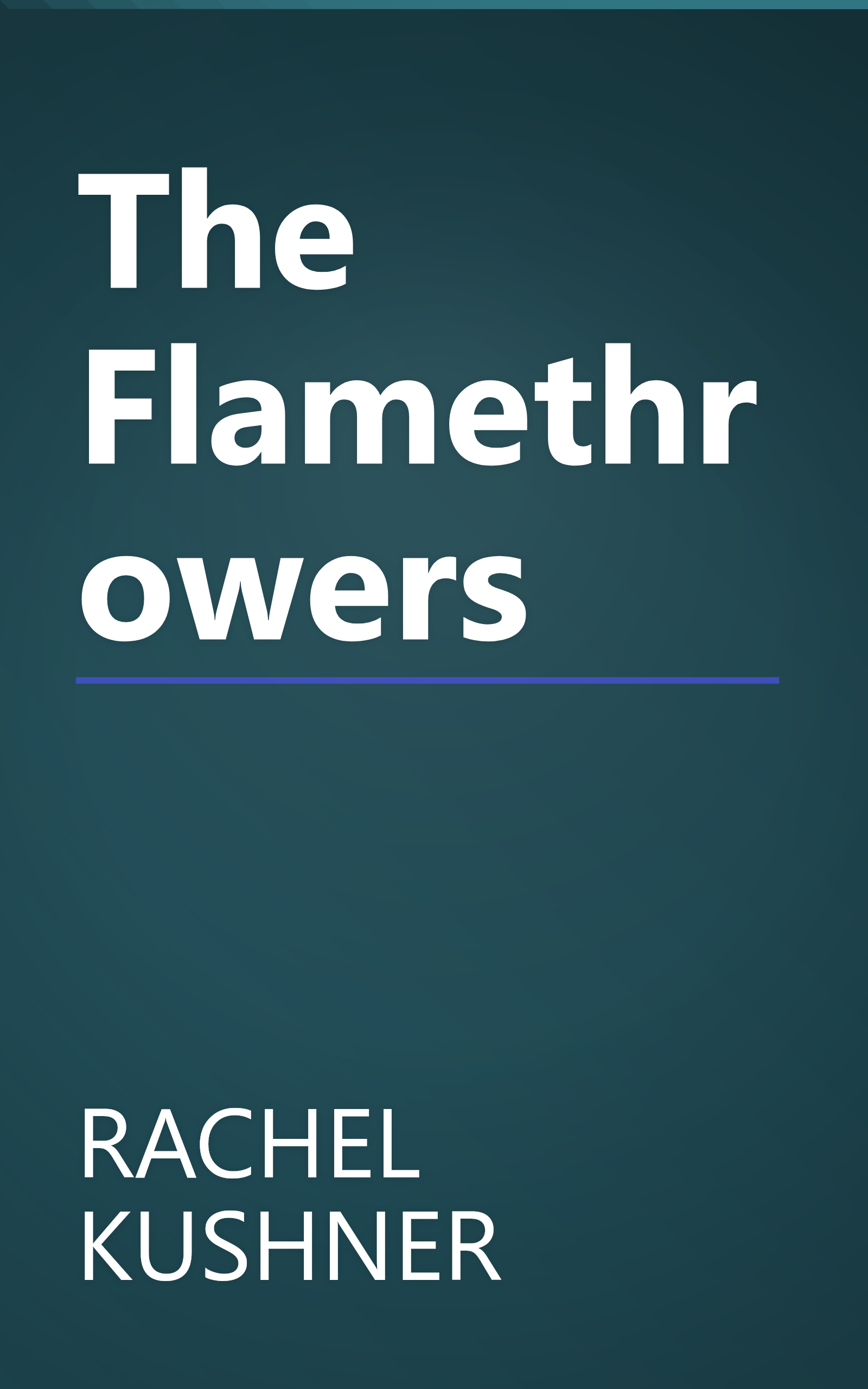 The Flamethrowers book cover