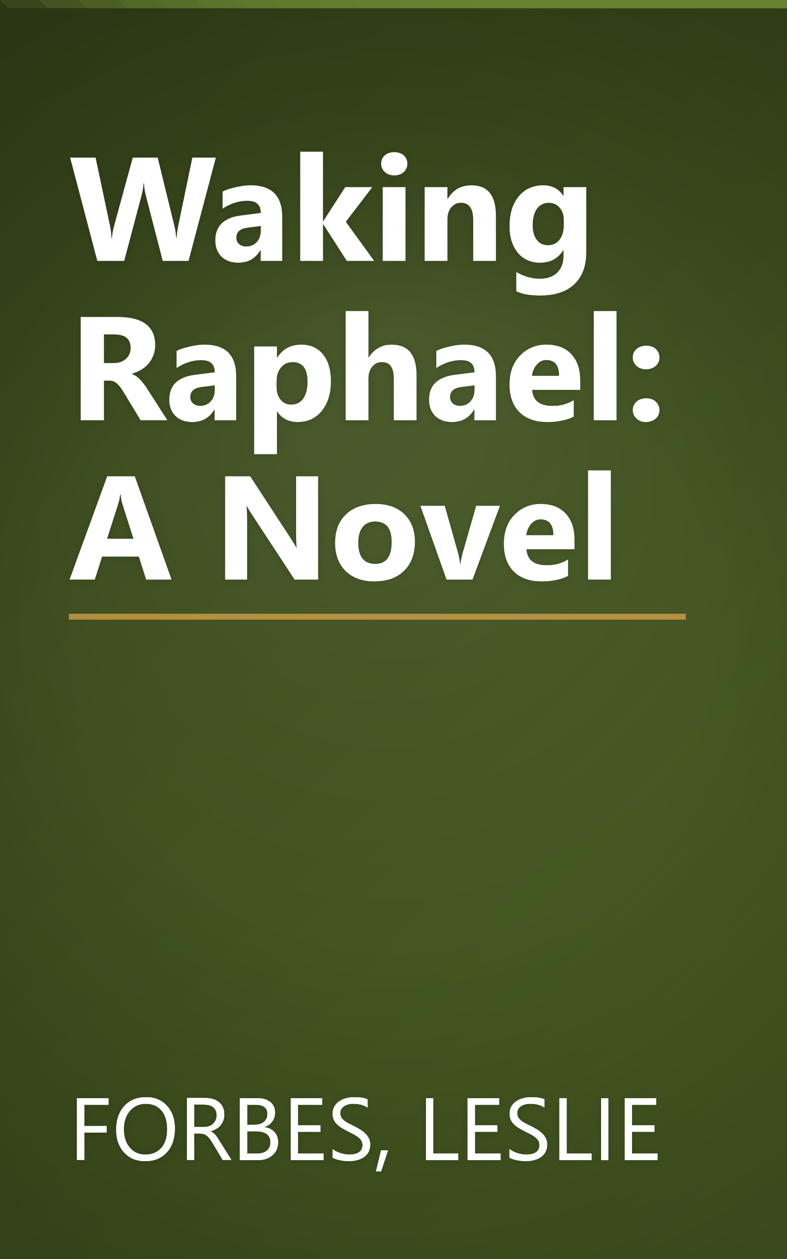 Waking Raphael: A Novel book cover