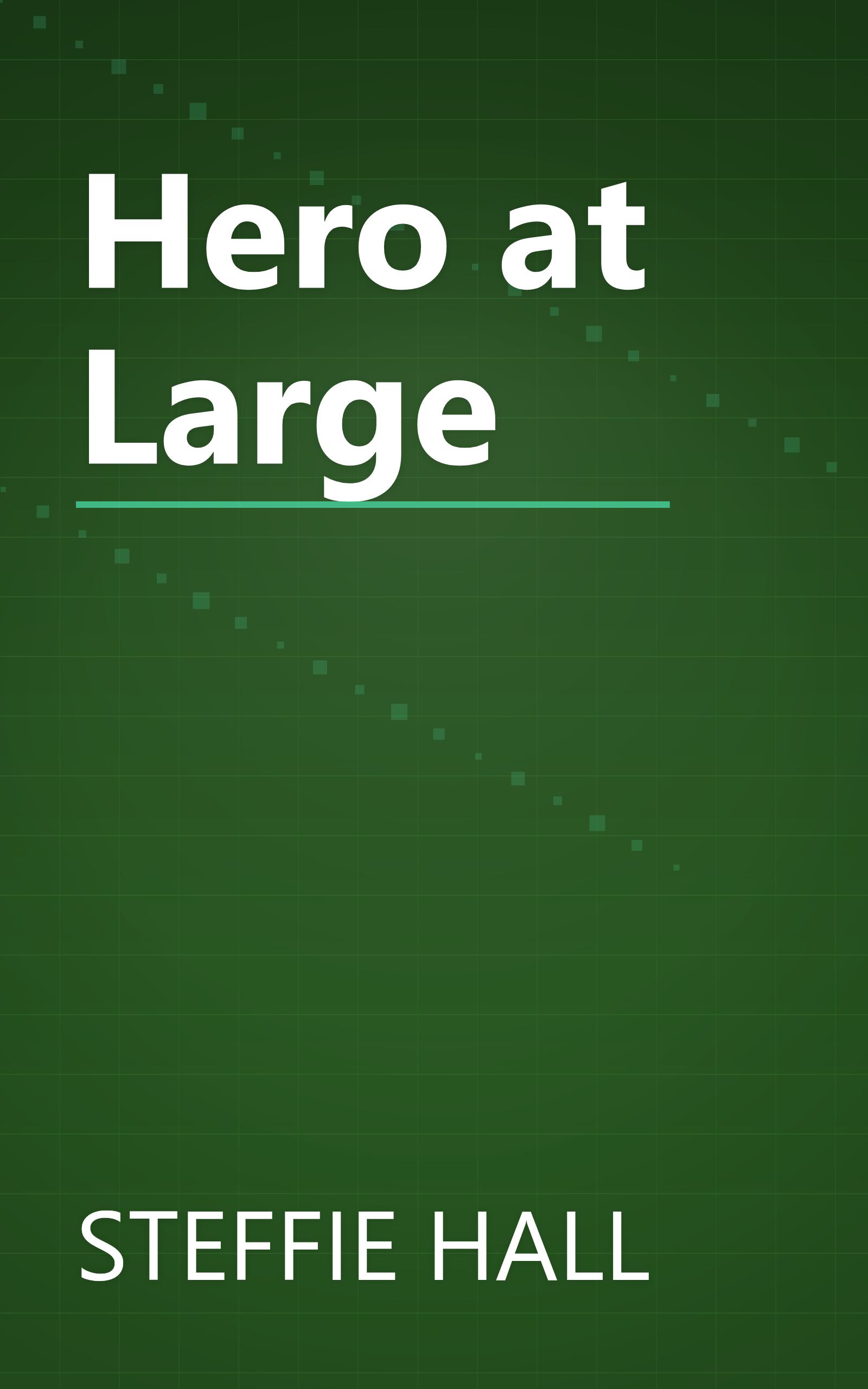 Hero at Large book cover