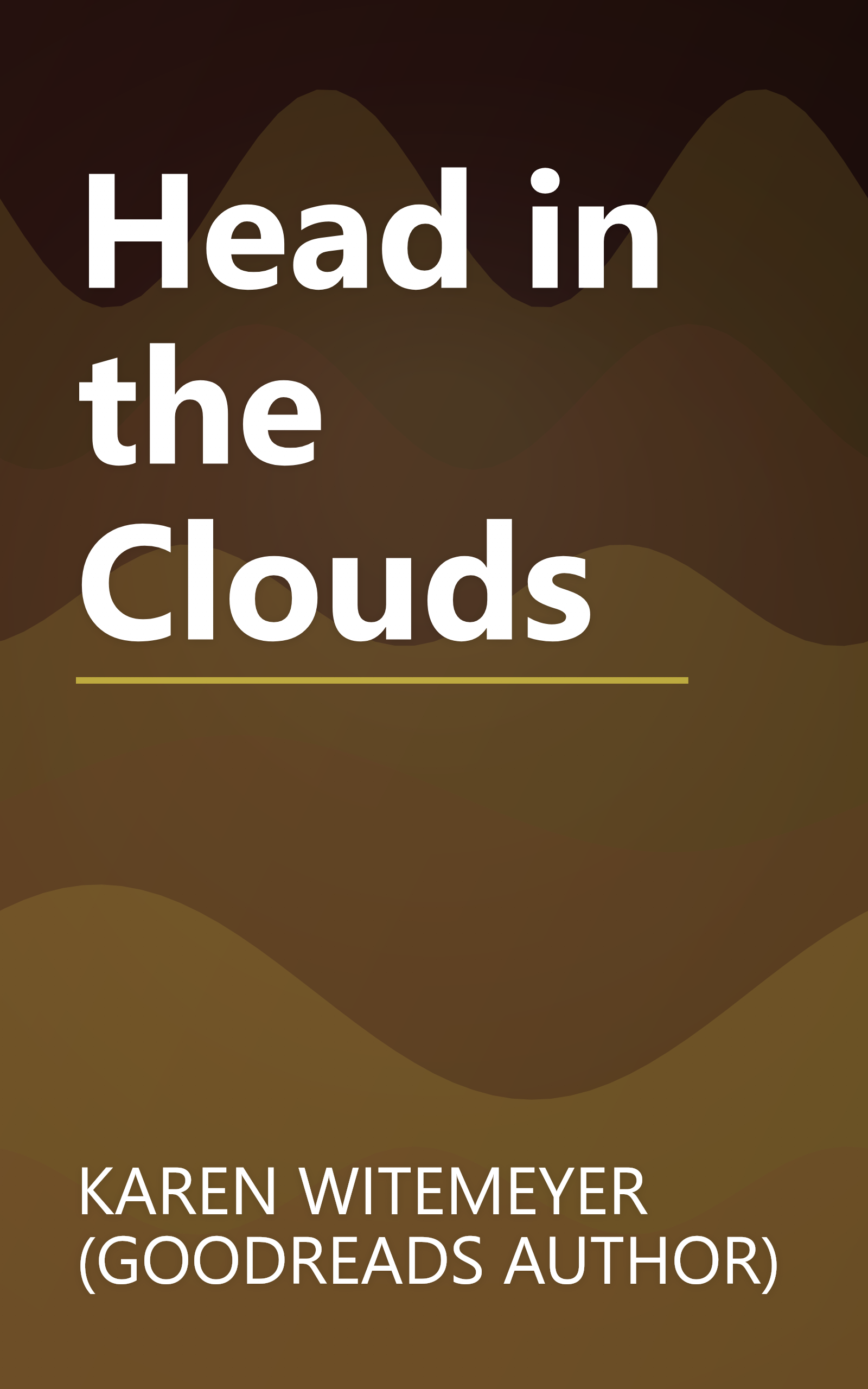 Head in the Clouds book cover