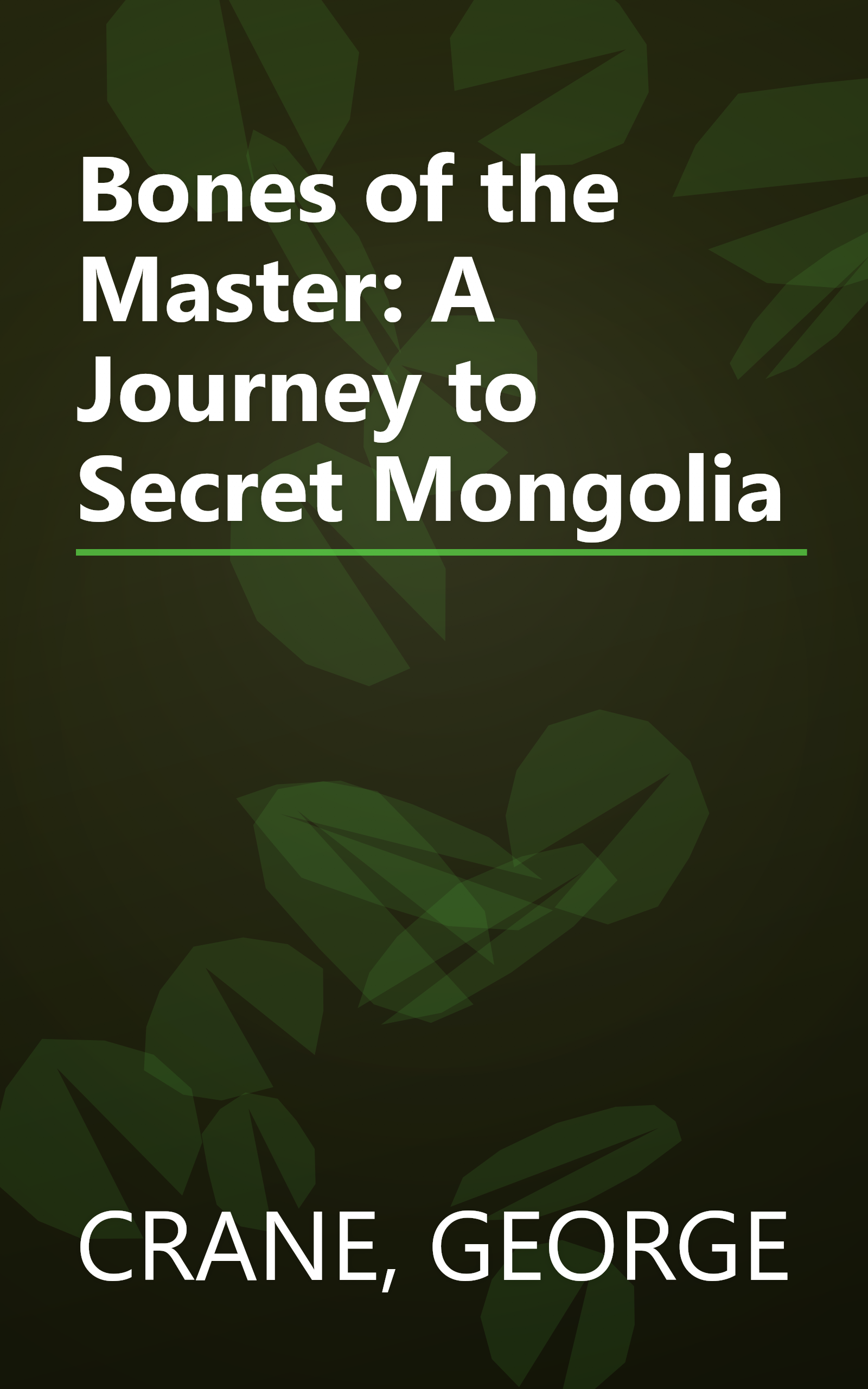 Bones of the Master: A Journey to Secret Mongolia book cover