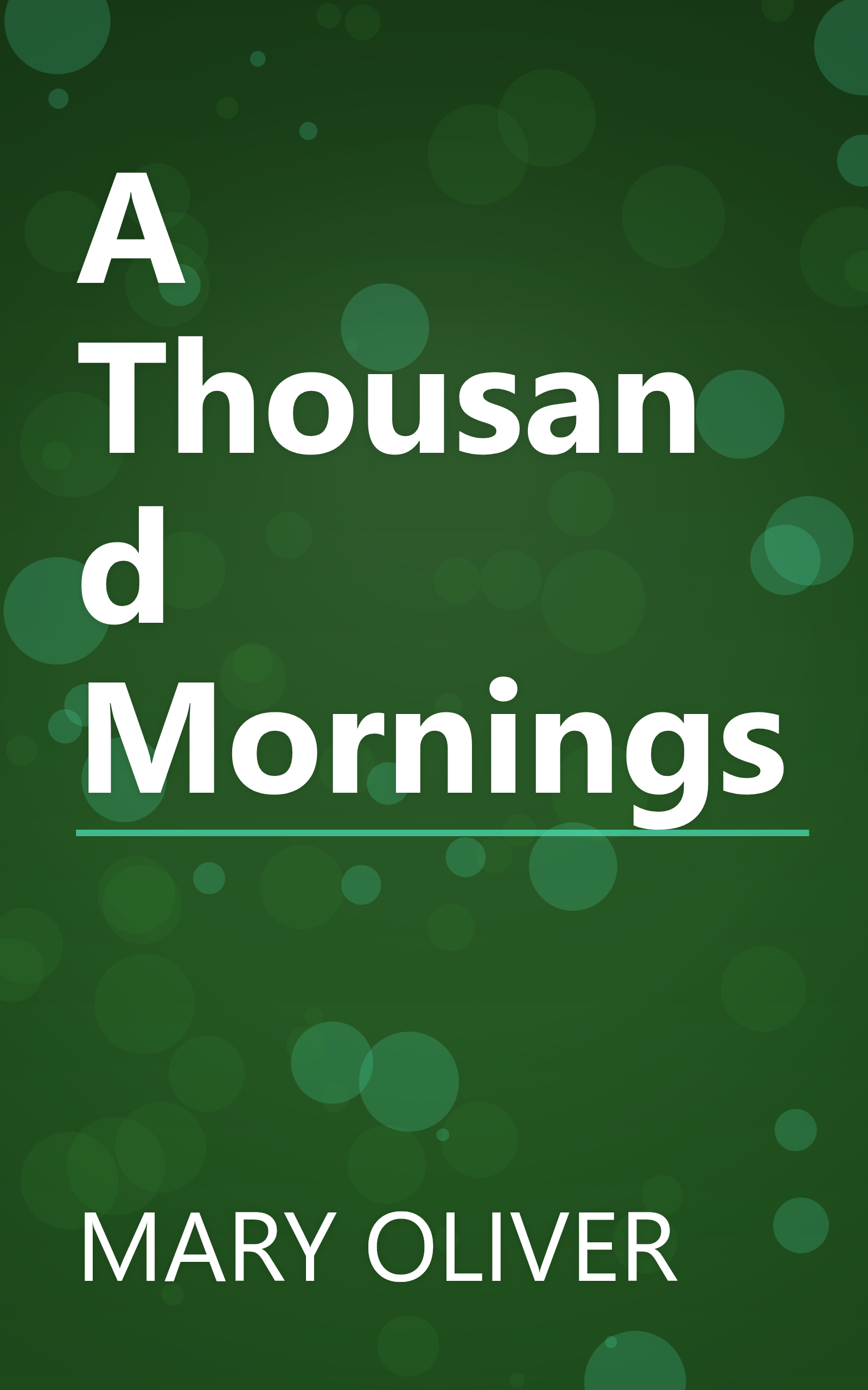 A Thousand Mornings book cover