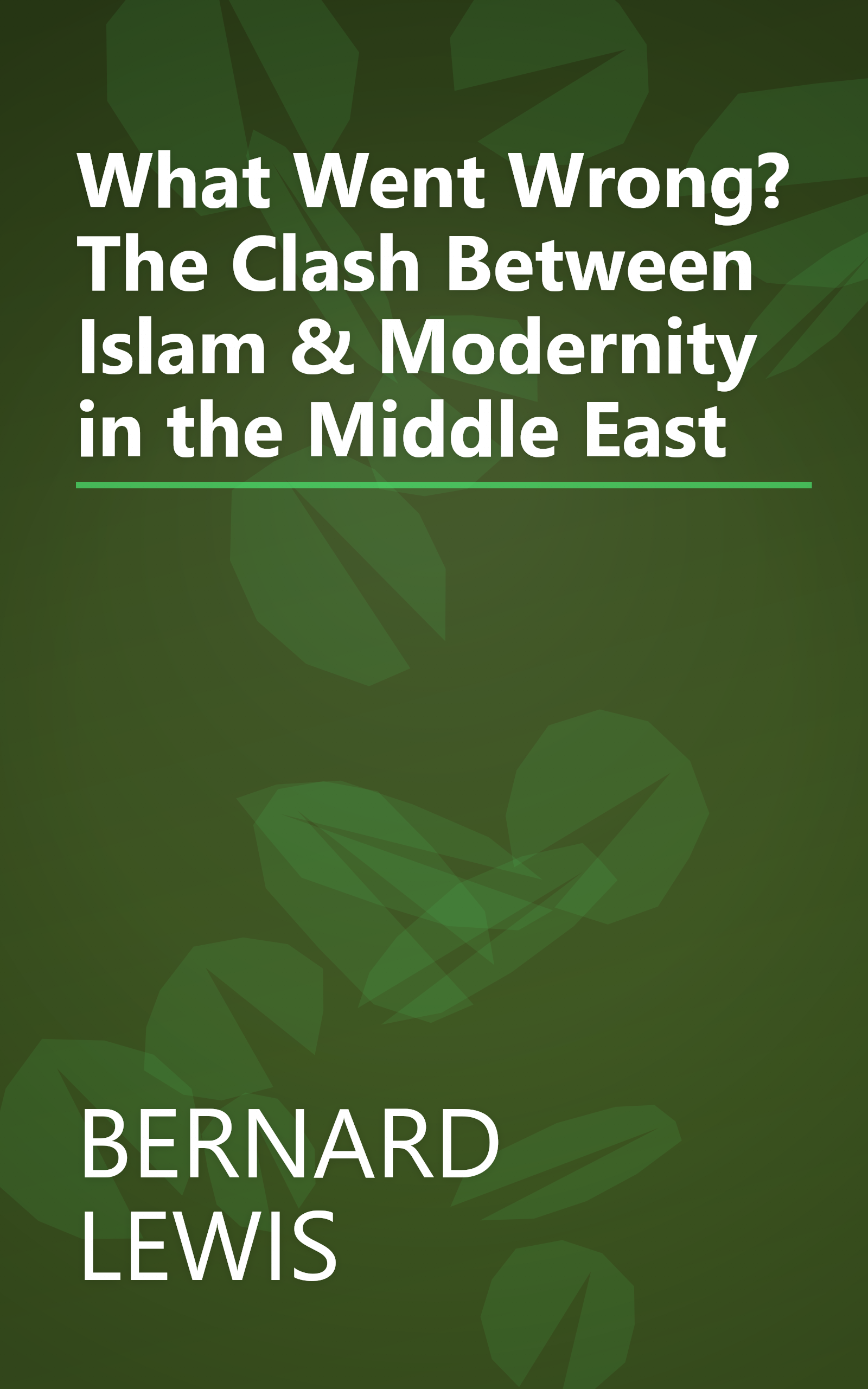 What Went Wrong? The Clash Between Islam & Modernity in the Middle East book cover
