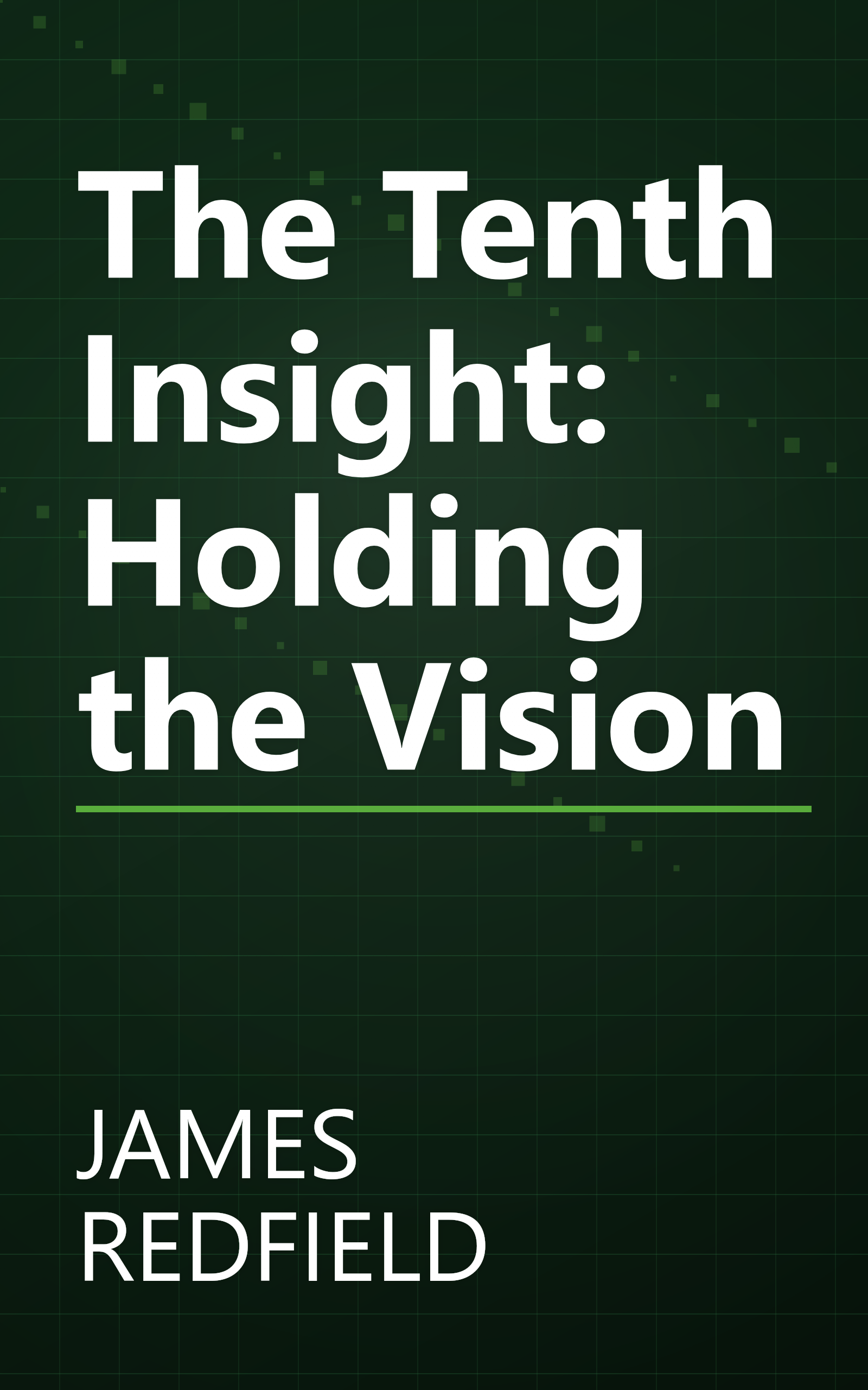 The Tenth Insight: Holding the Vision book cover