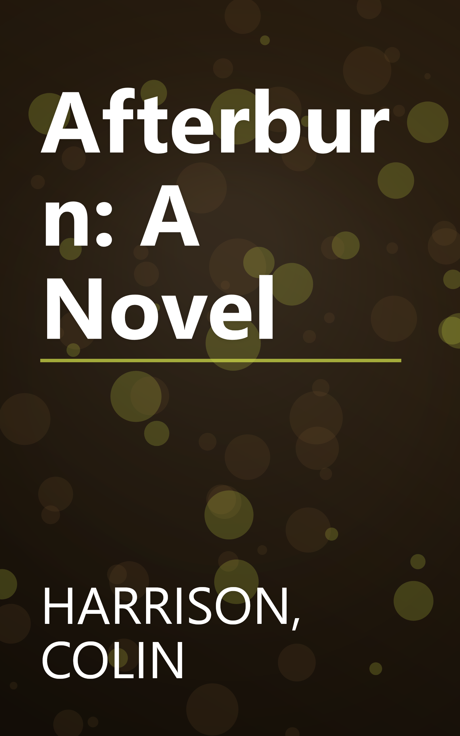 Afterburn: A Novel book cover