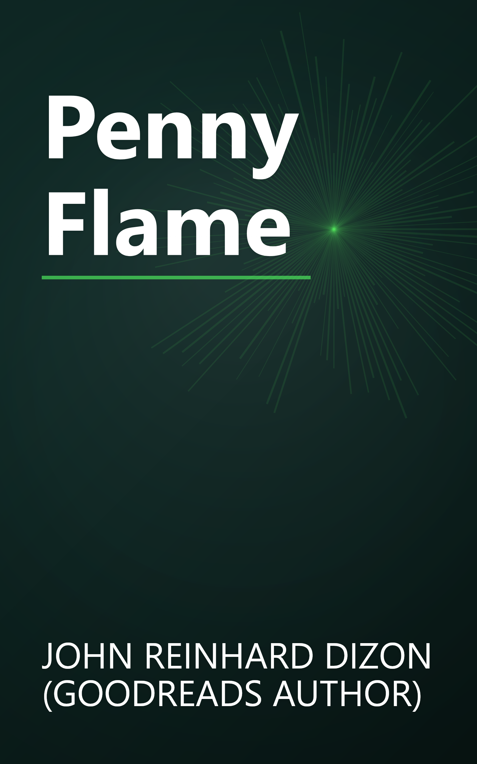 Penny Flame book cover