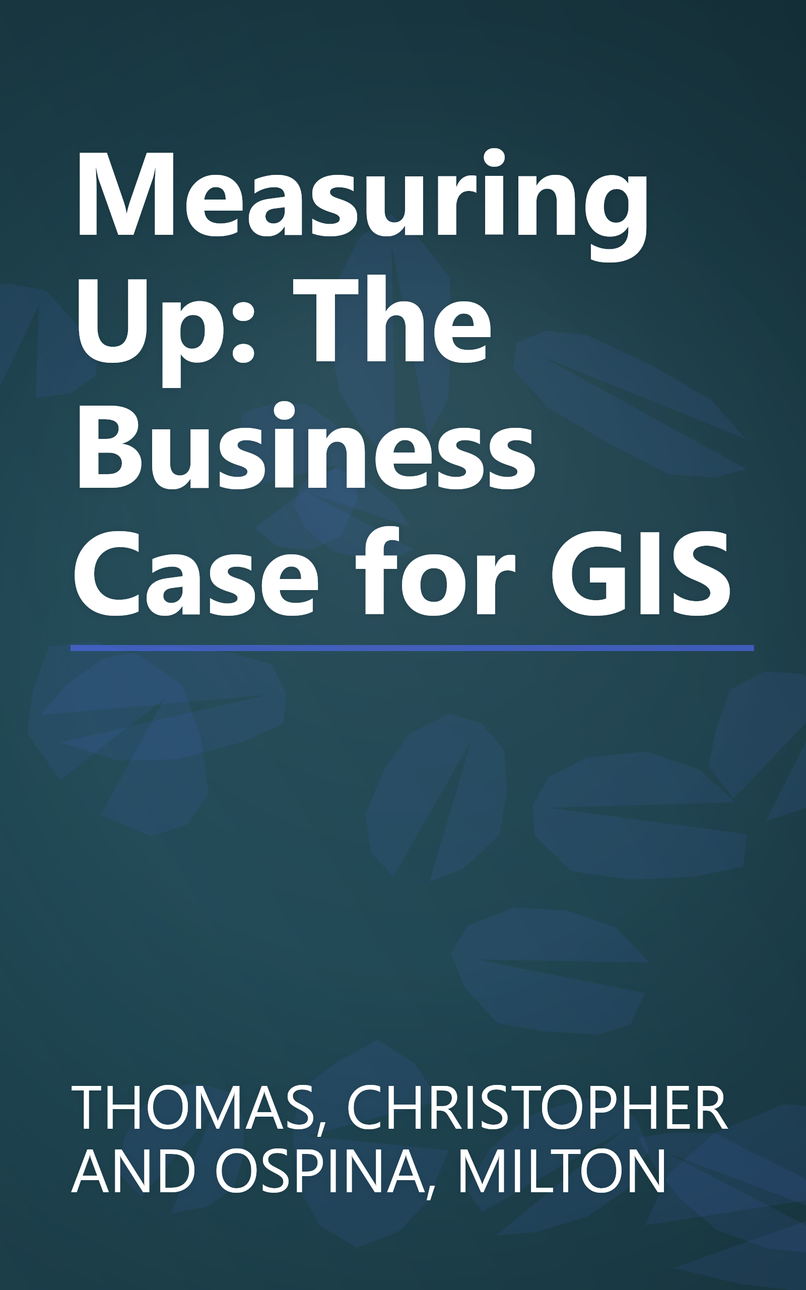 Measuring Up: The Business Case for GIS book cover