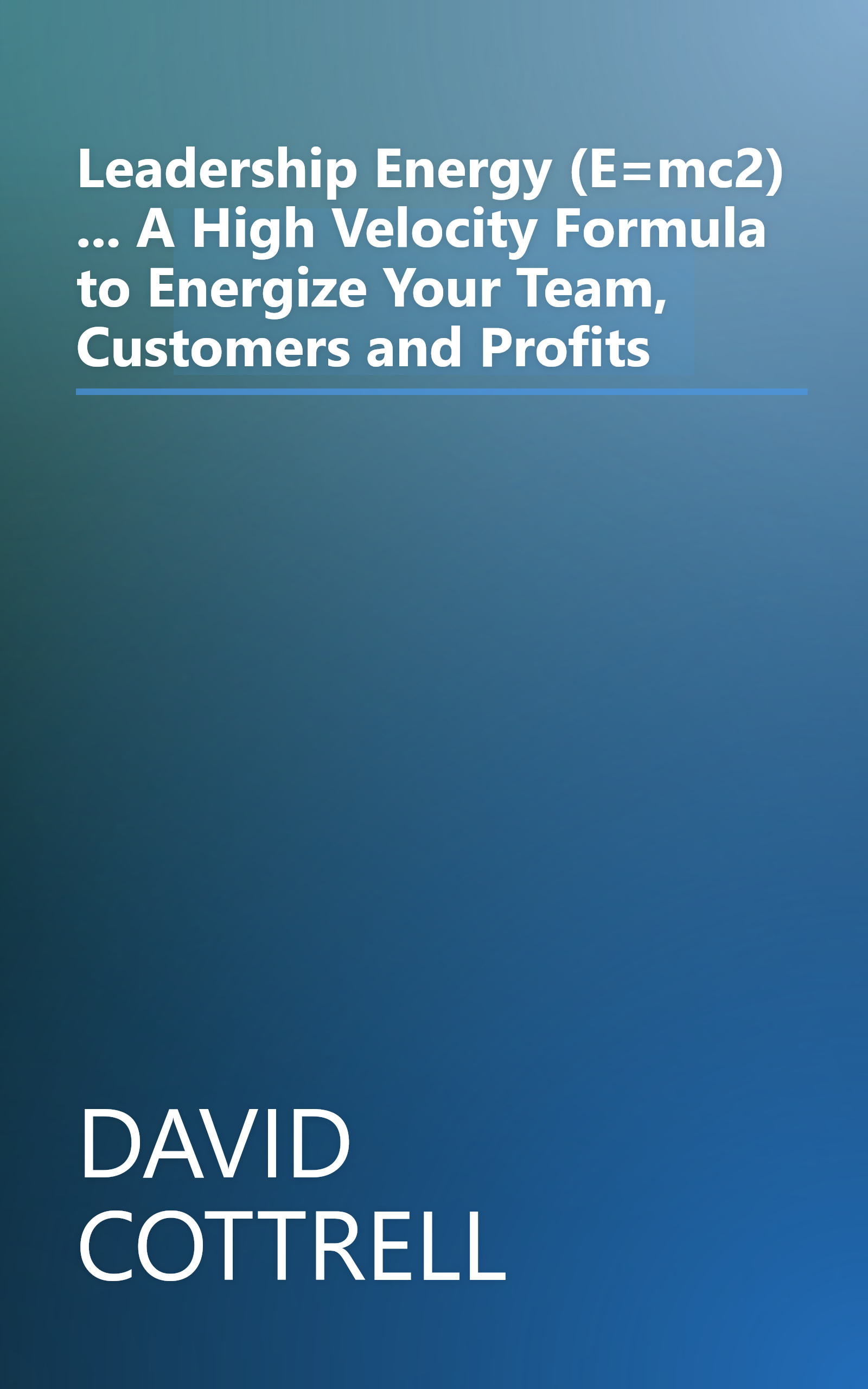 Leadership Energy (E=mc2) ... A High Velocity Formula to Energize Your Team, Customers and Profits book cover