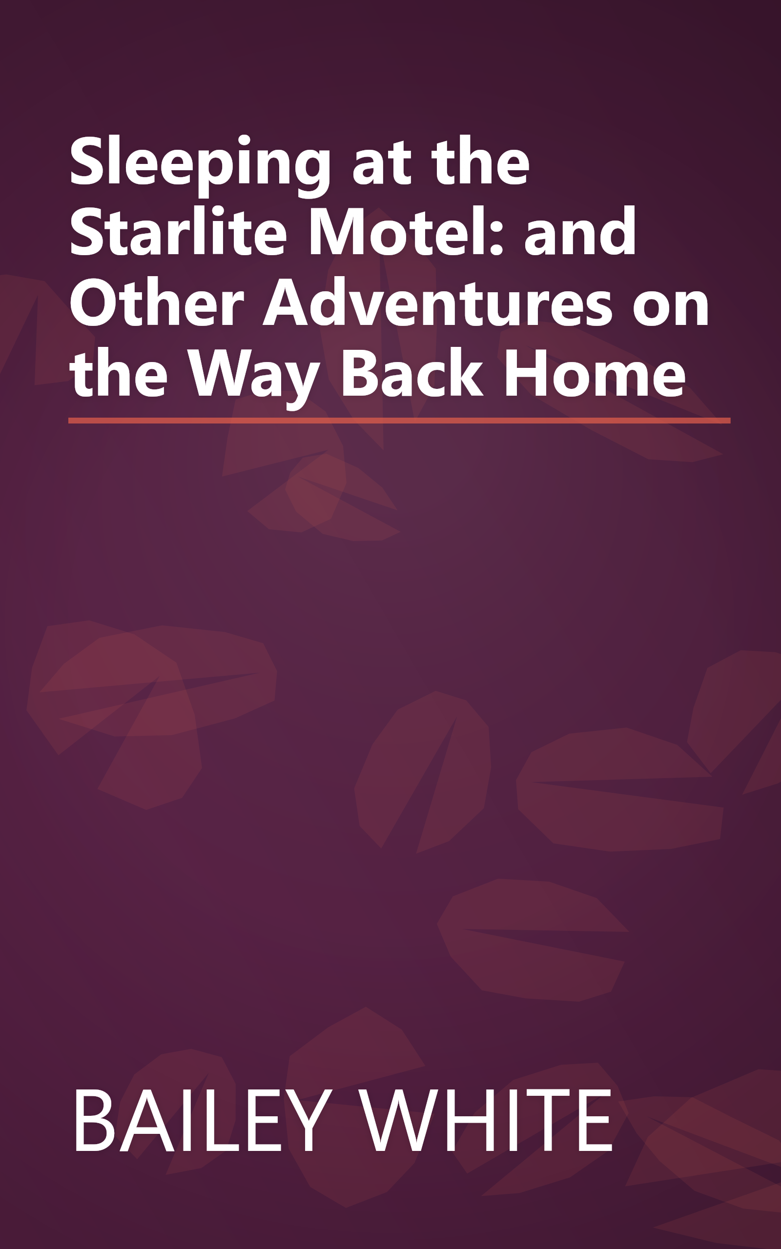 Sleeping at the Starlite Motel: and Other Adventures on the Way Back Home book cover