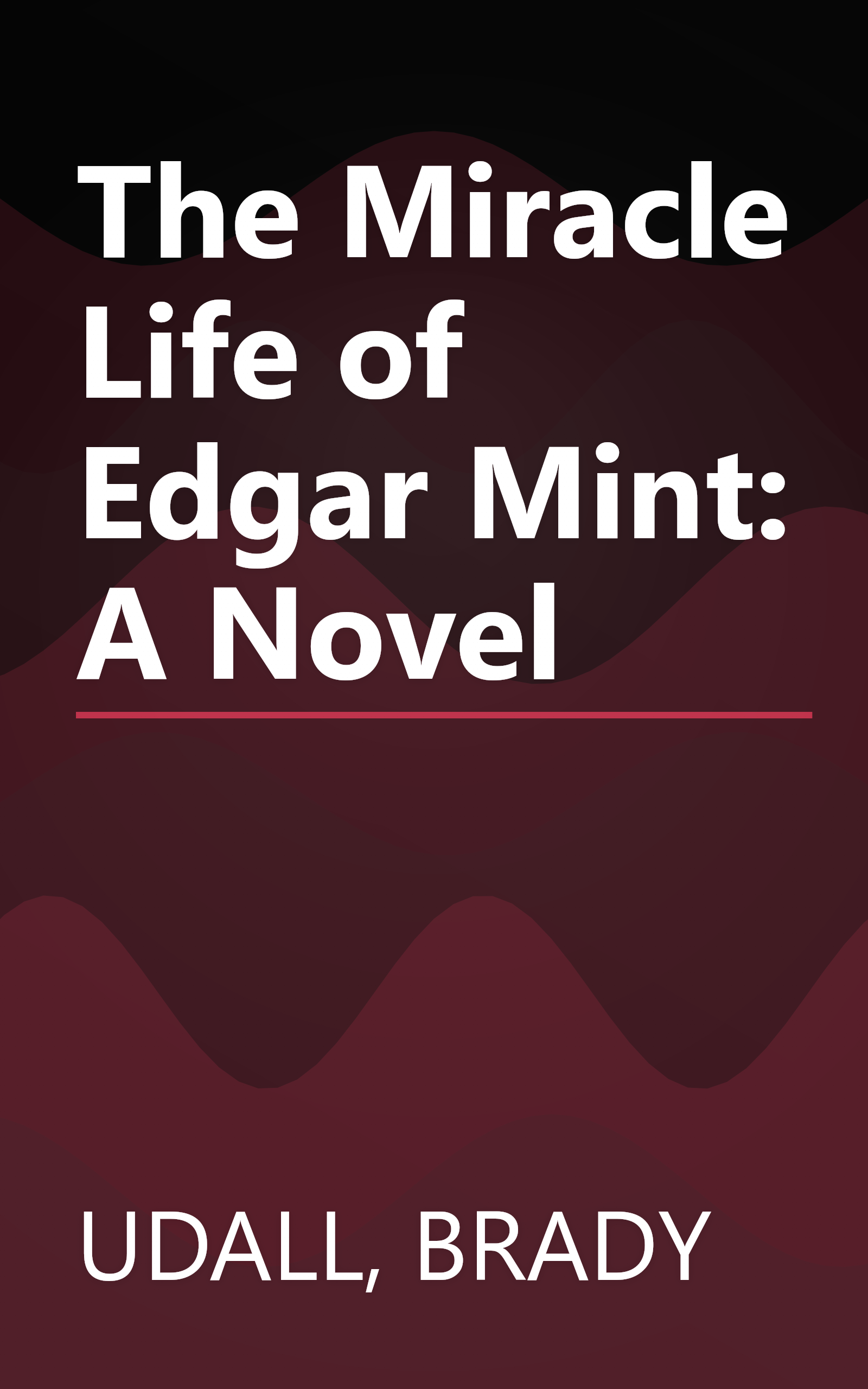 The Miracle Life of Edgar Mint: A Novel book cover