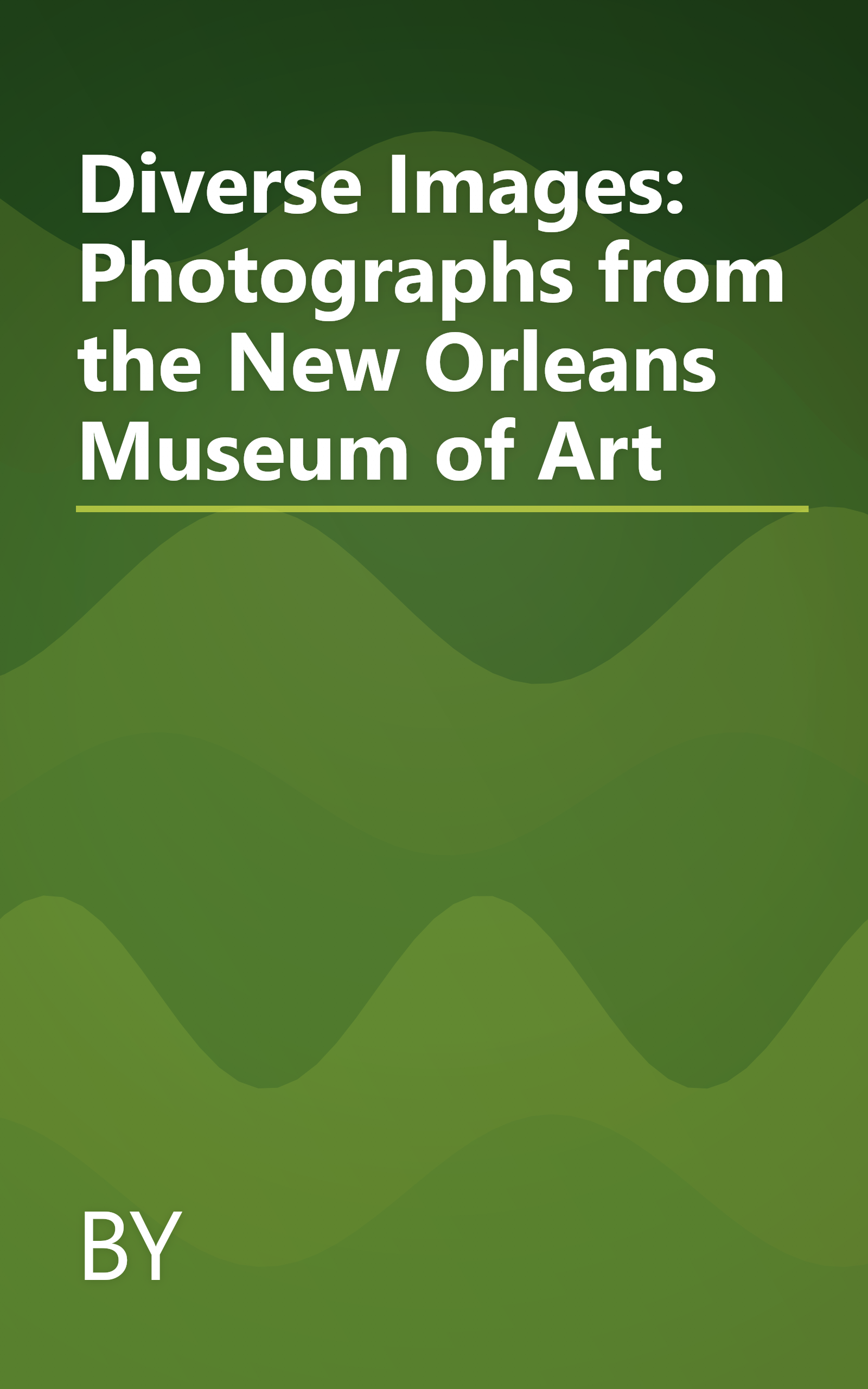 Diverse Images: Photographs from the New Orleans Museum of Art book cover
