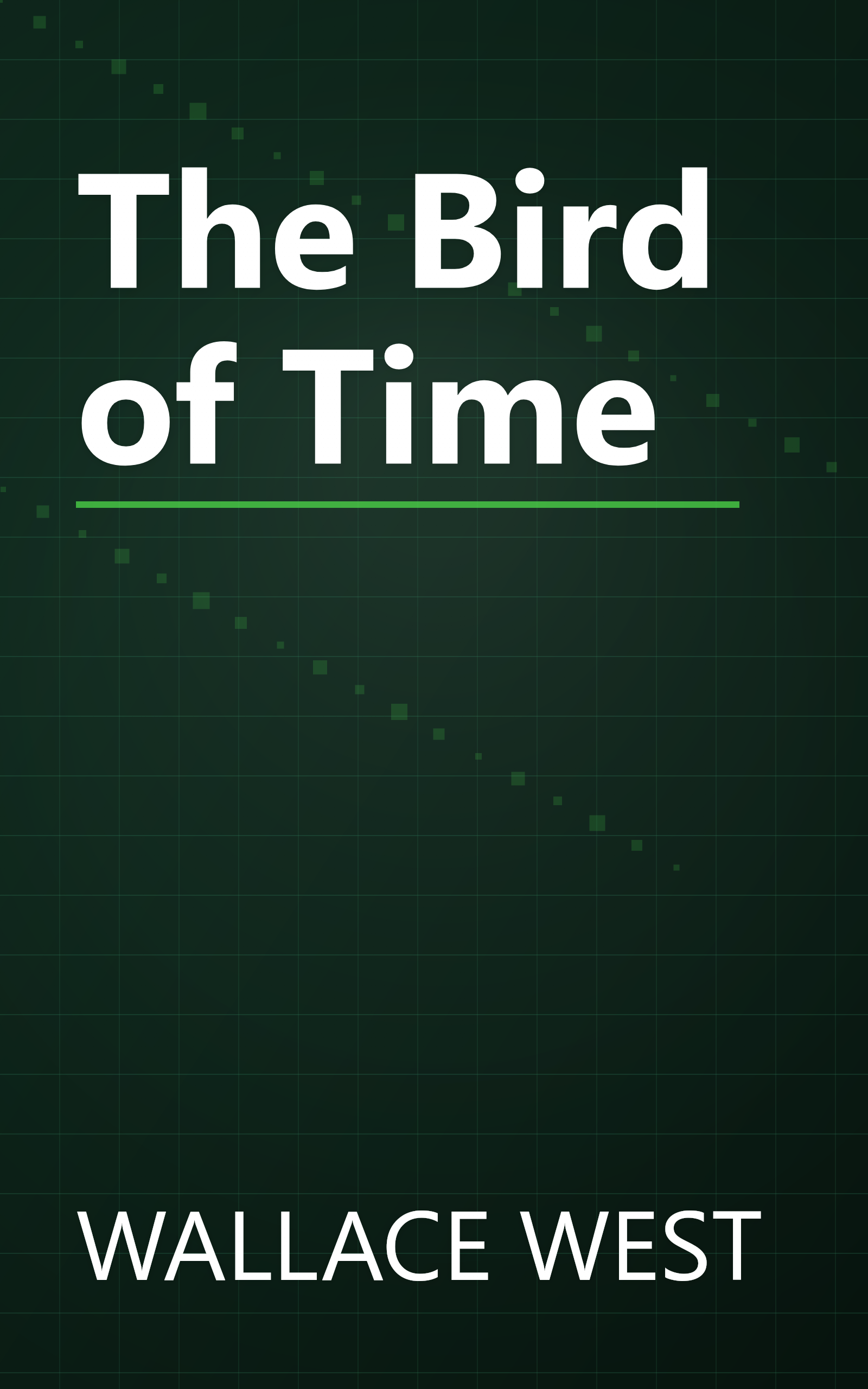 The Bird of Time book cover