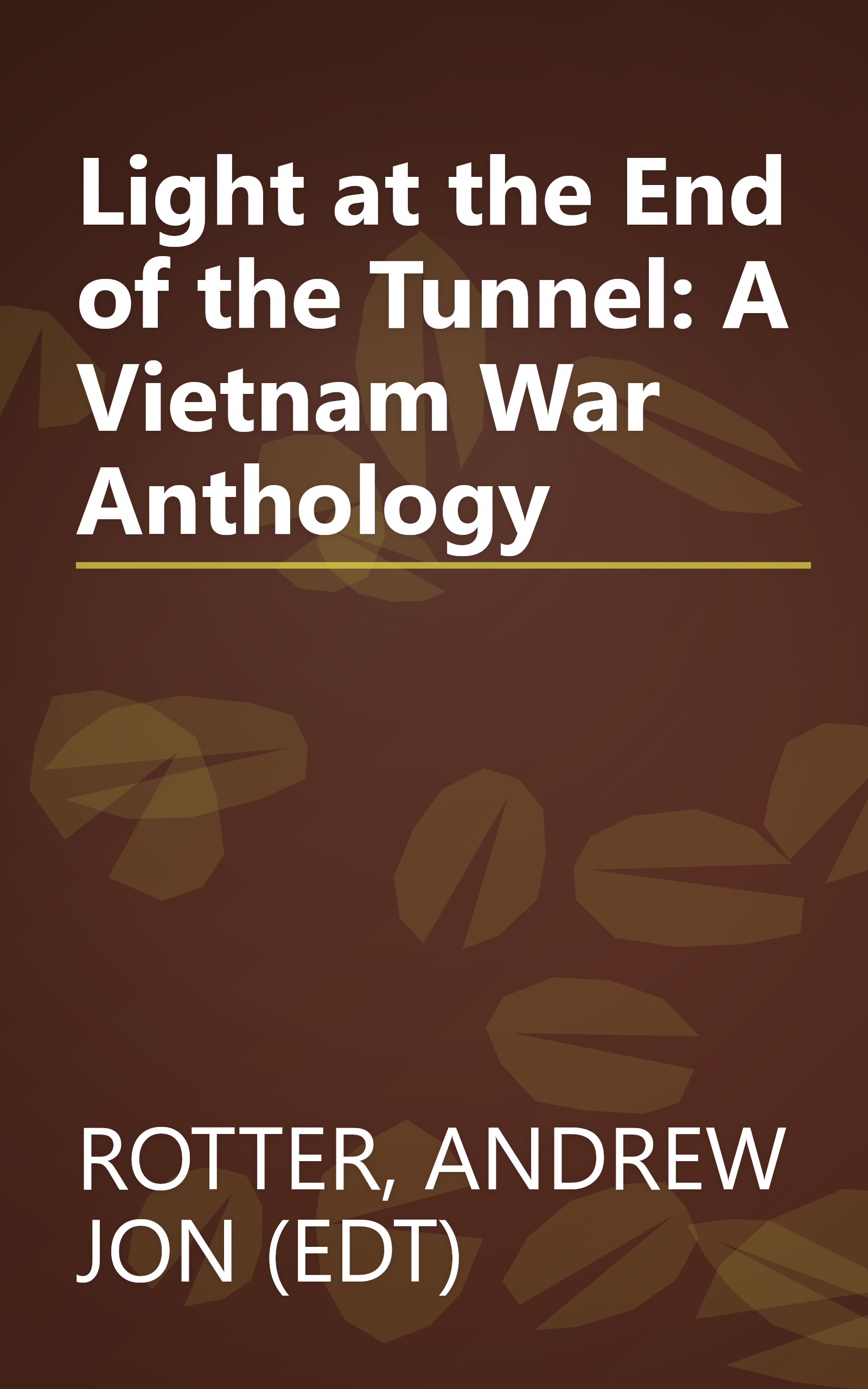 Light at the End of the Tunnel: A Vietnam War Anthology book cover