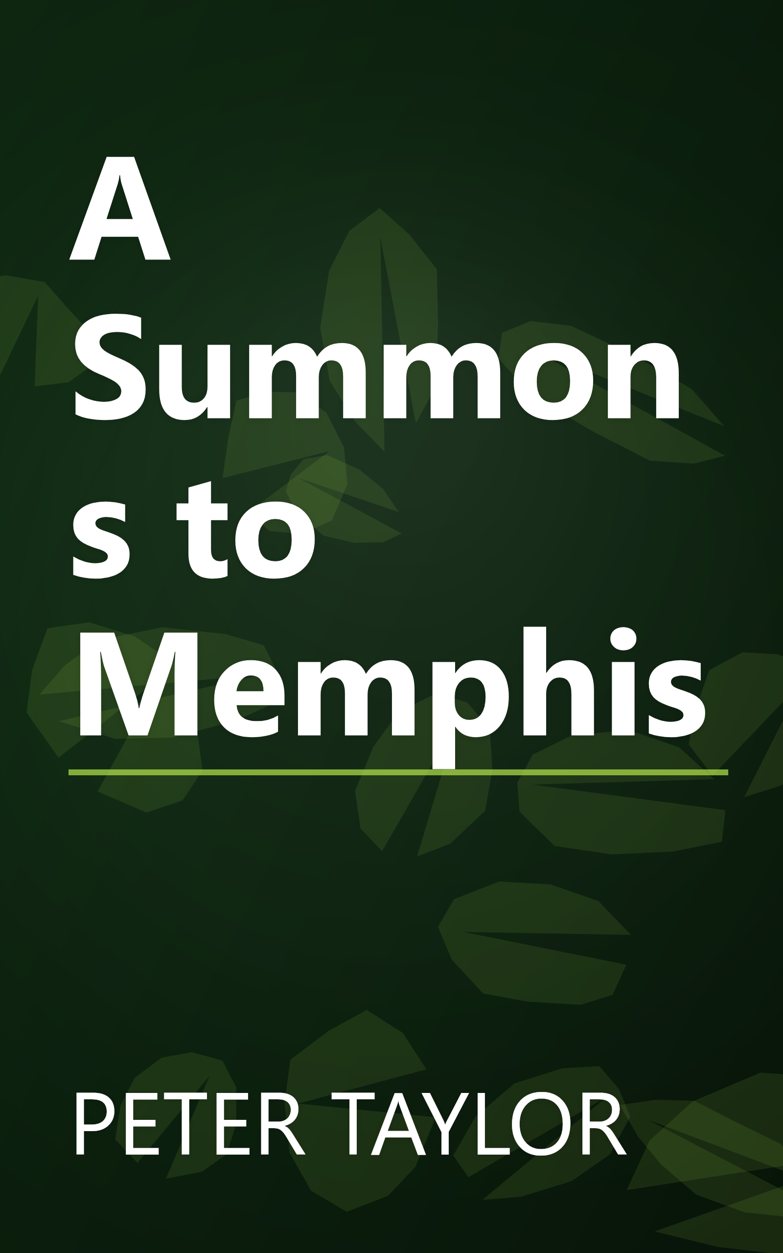 A Summons to Memphis book cover