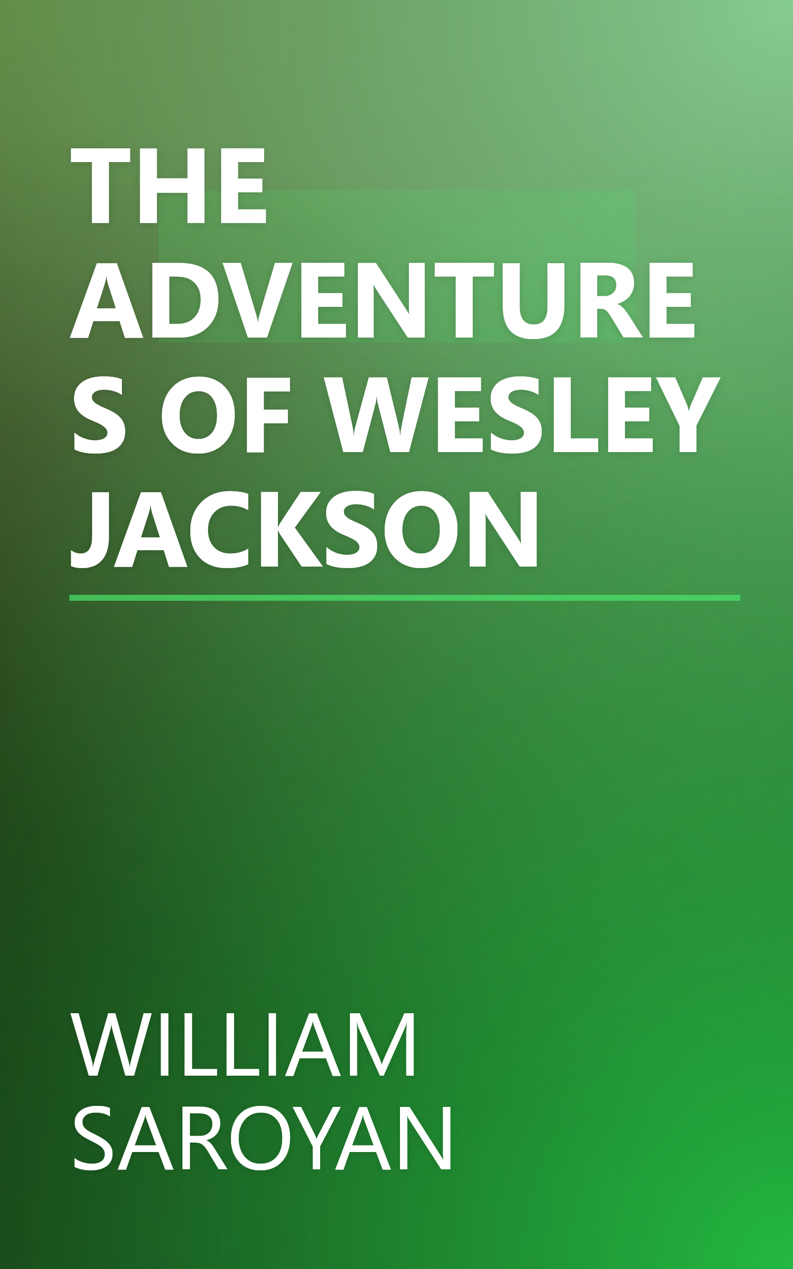 THE ADVENTURES OF WESLEY JACKSON book cover