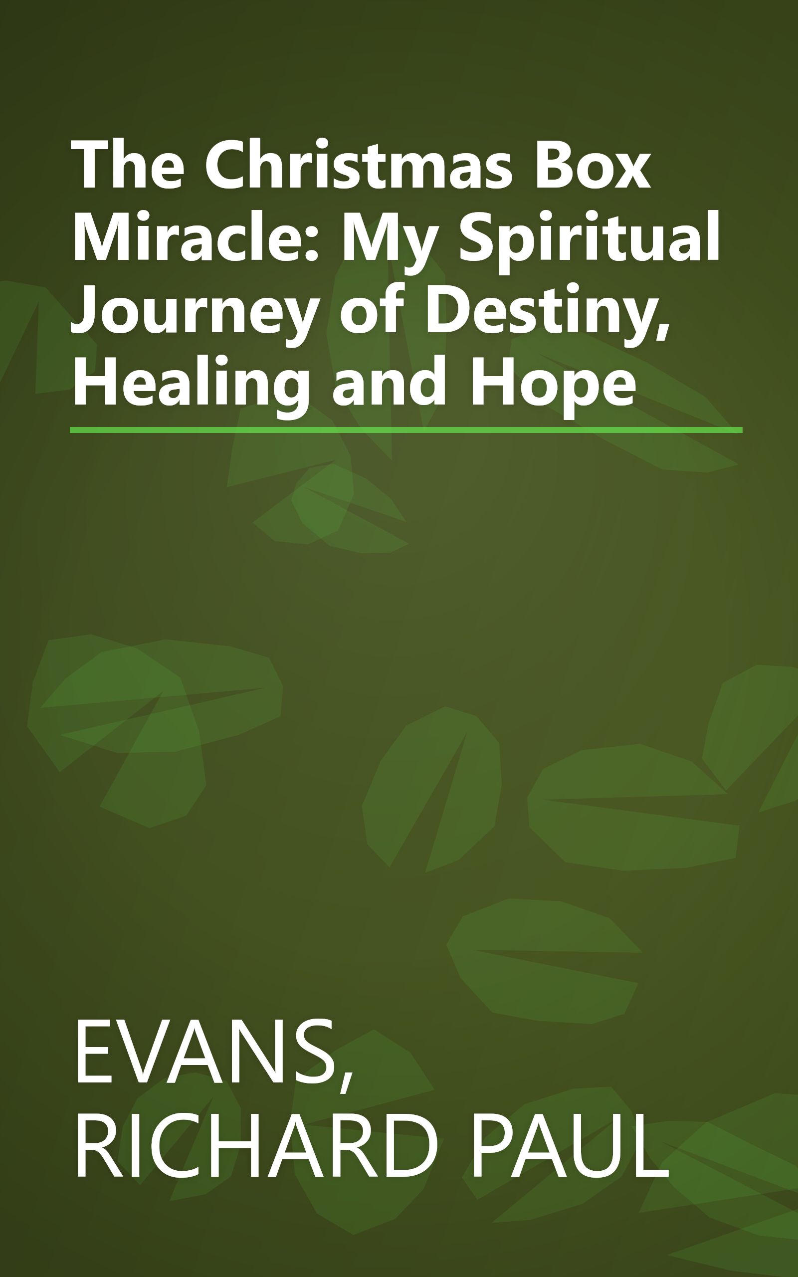 The Christmas Box Miracle: My Spiritual Journey of Destiny, Healing and Hope book cover